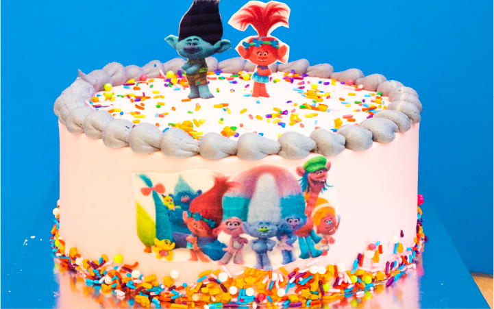 Birthday Party Package at DreamWorks Water Park - Private Party Rooms