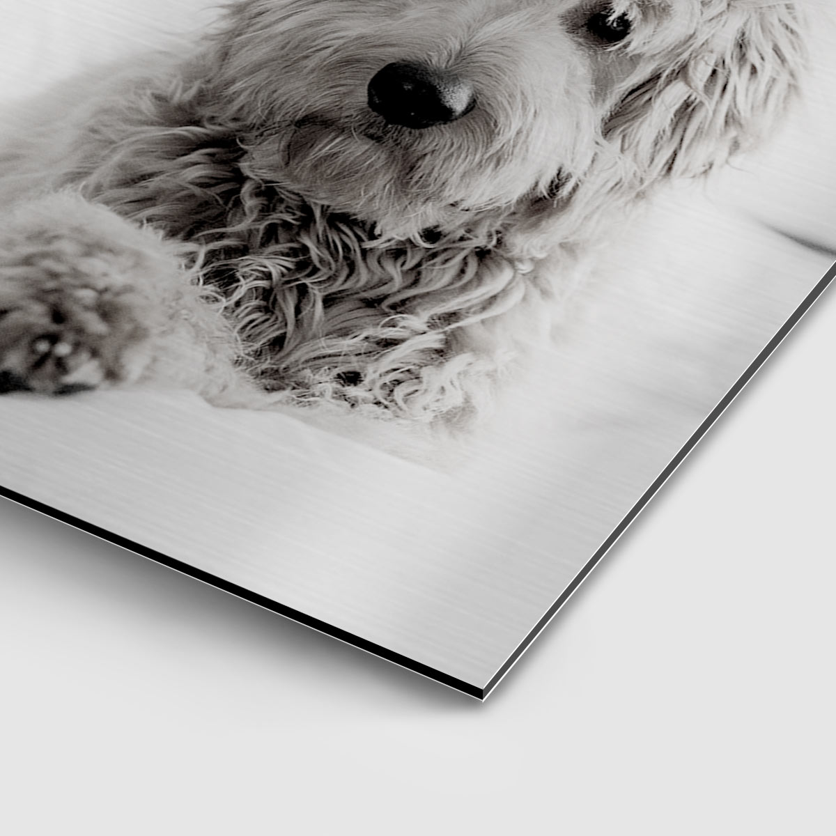 Aluminium Prints, Metal Photo Prints