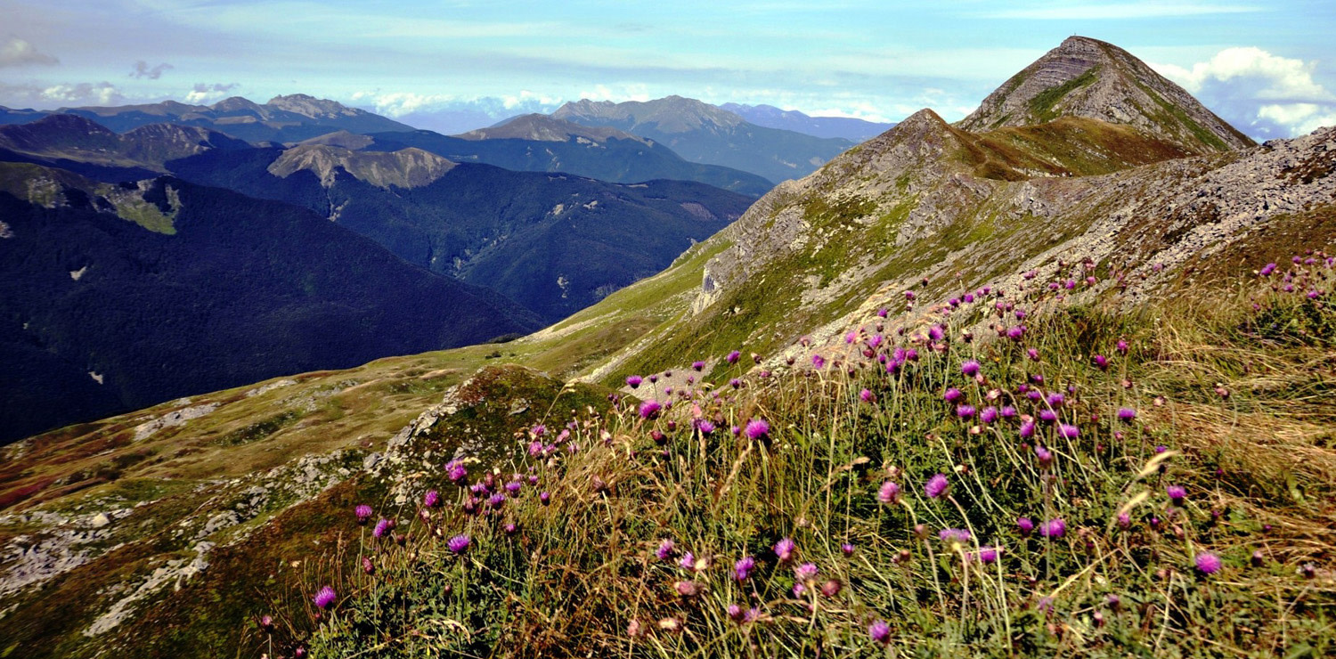 Parchi naturali della Toscana