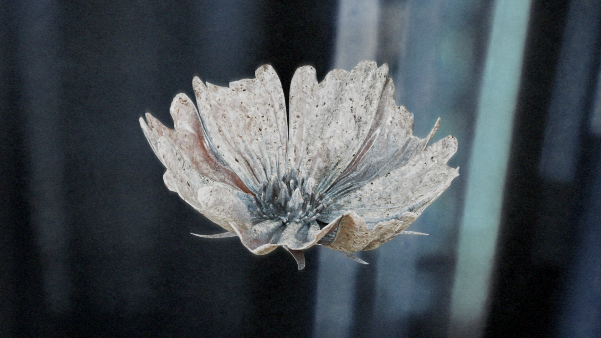 Enter our design competition for the chance to be featured in SYKY Magazine