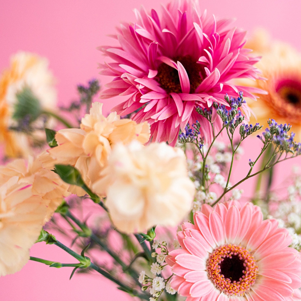 Betekenis van verschillende bloemsoorten | Greetz