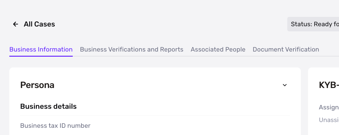 Reviewing KYB results with Cases