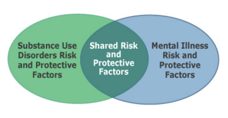 Risk and Protective Factors - Doro Mind