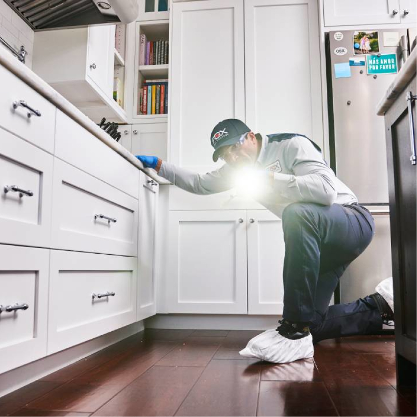 Operations Suite | FieldRoutes