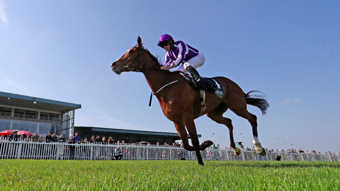 Minding suffers summer setback | Racing