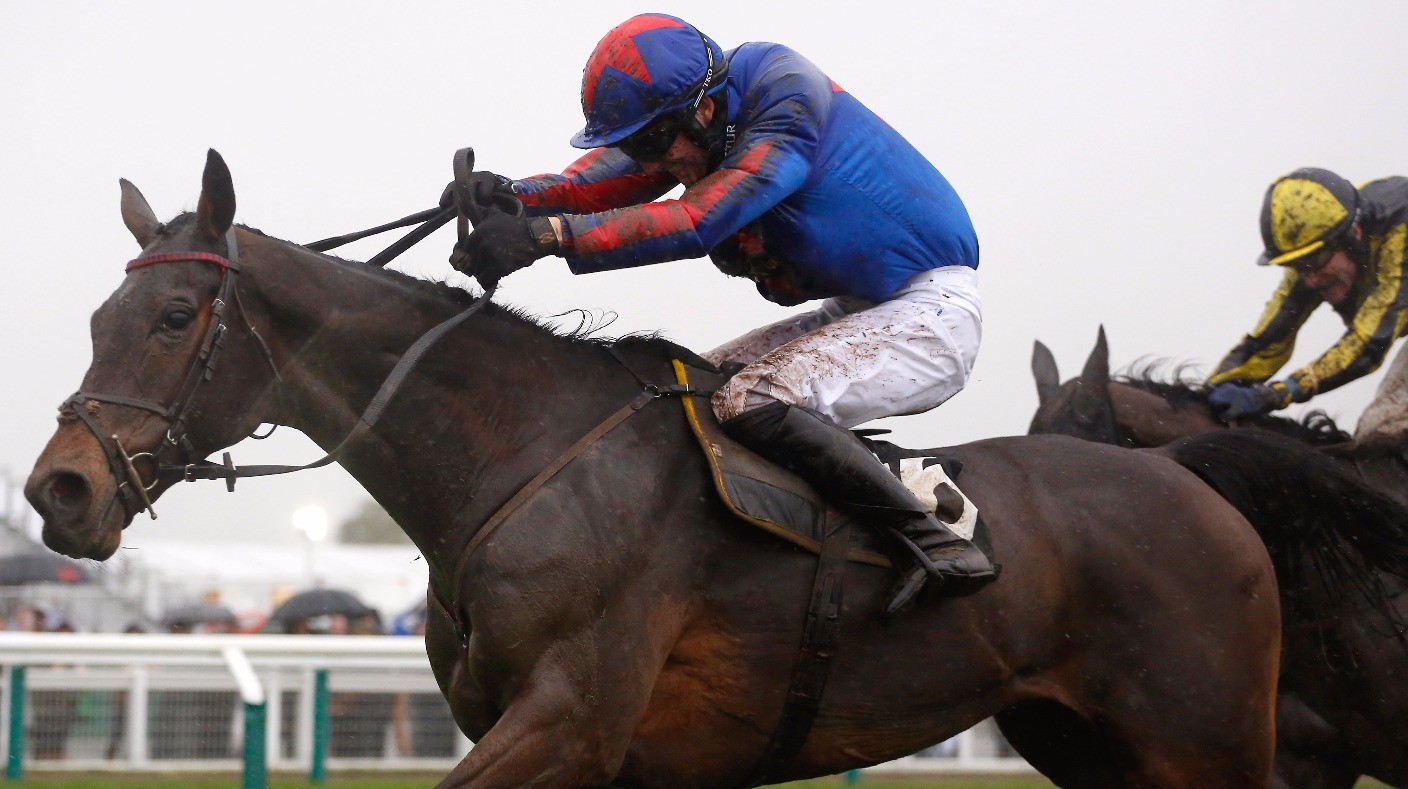 Ginge Army out to make a splash at Cheltenham | Racing