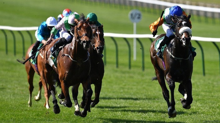 Forest Ranger pips Deauville to claim Earl of Sefton | Racing