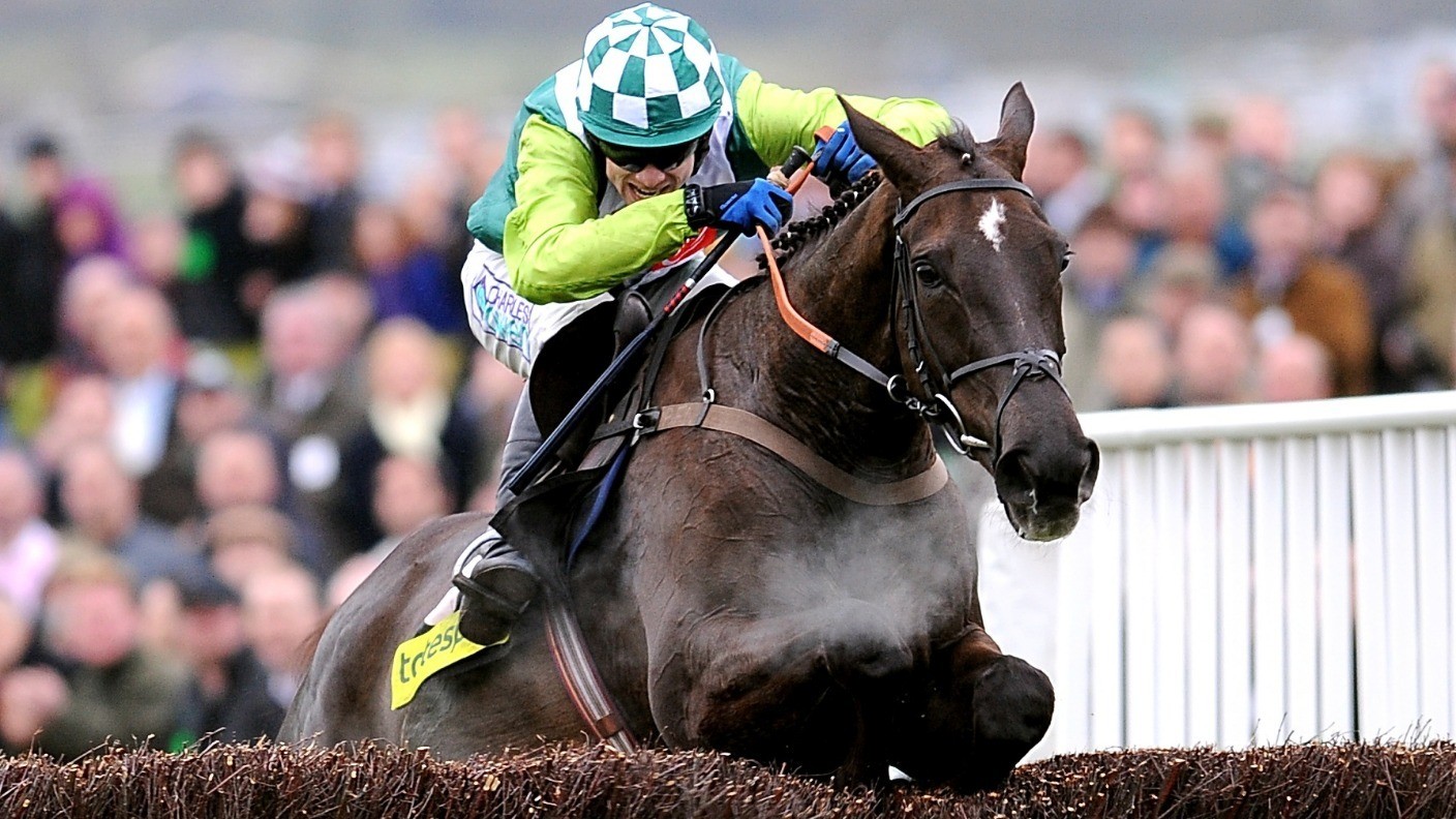 Cheltenham Gold Cup winner Denman dies aged 18 | Racing