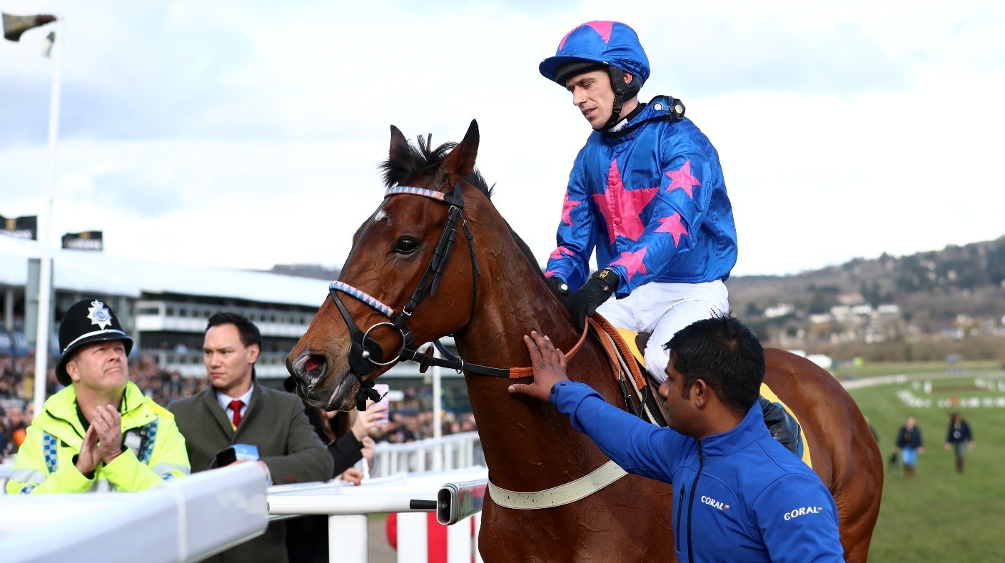 Cue Card 'not retired' and may run again this season | Racing
