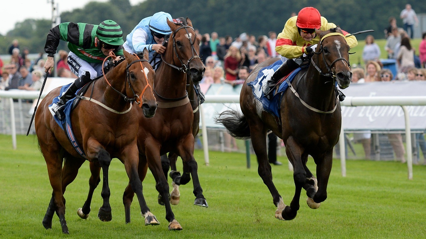 Alpha Delphini to take on Battaash at York | Racing