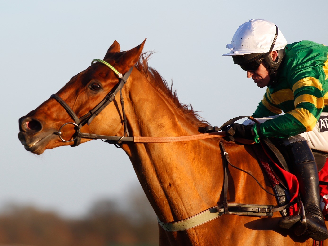 Alan King considers Kempton test for Yanworth | Racing