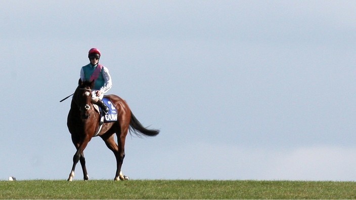 Frankel at stud: Excitement as champion ex-racehorse's first crop ...