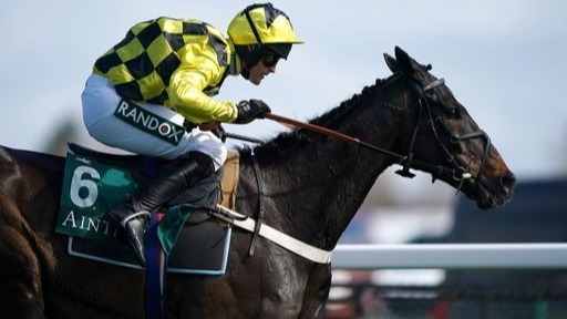 Super Shishkin shines on step up to three miles. | Racing