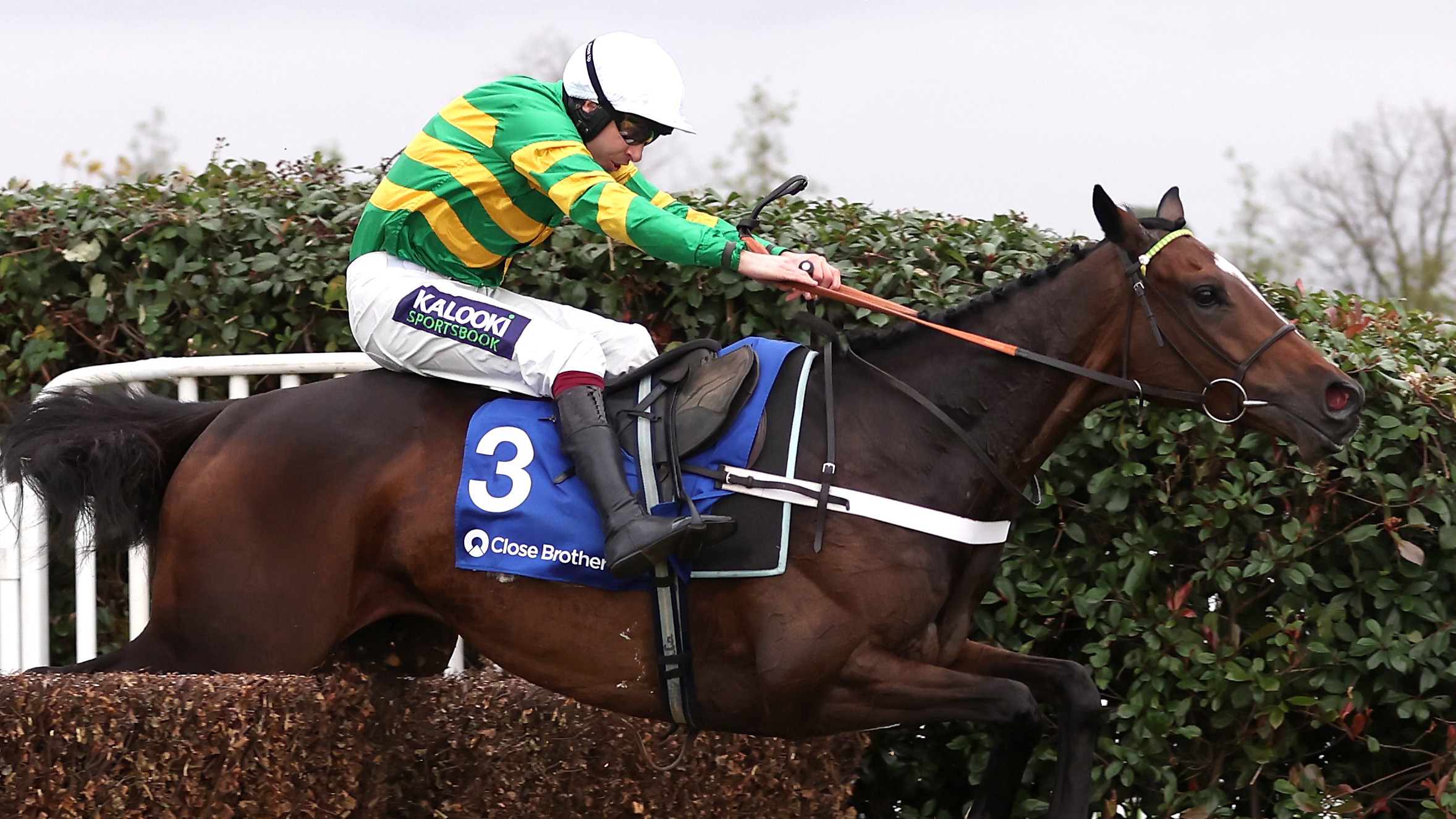 Jonbon simply dazzling in Henry VIII victory at Sandown | Racing