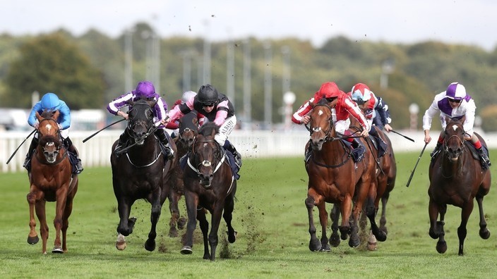 Aclaim looks the business after winning Park Stakes | Racing
