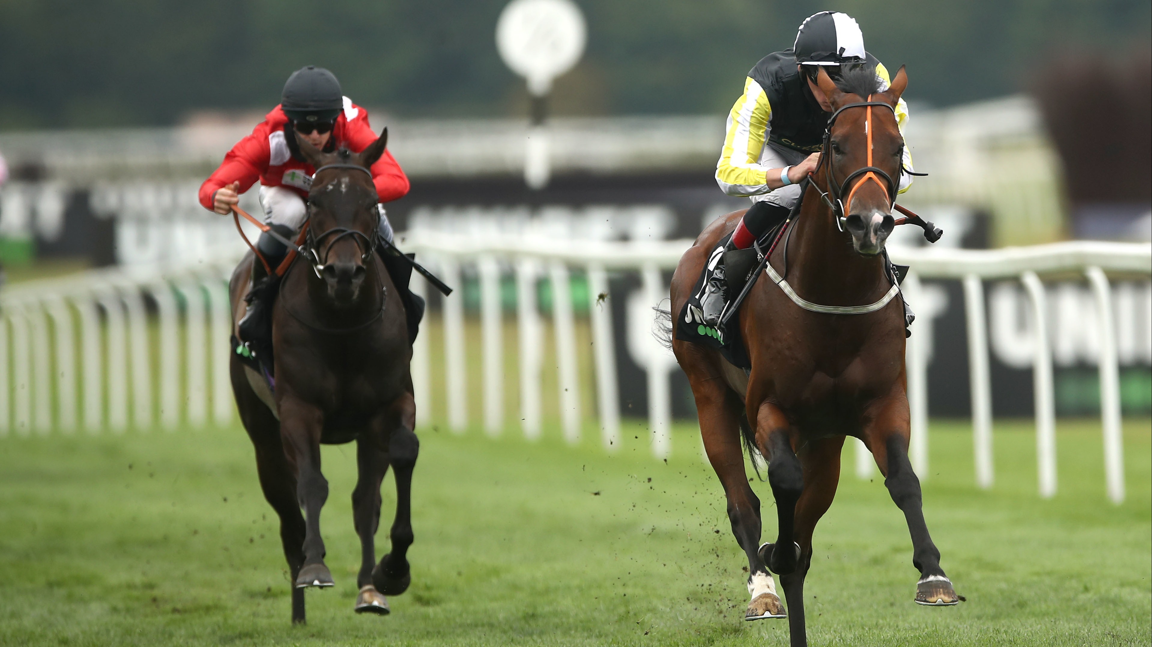 Clive Cox keeps continues productive August with River Nymph | Racing