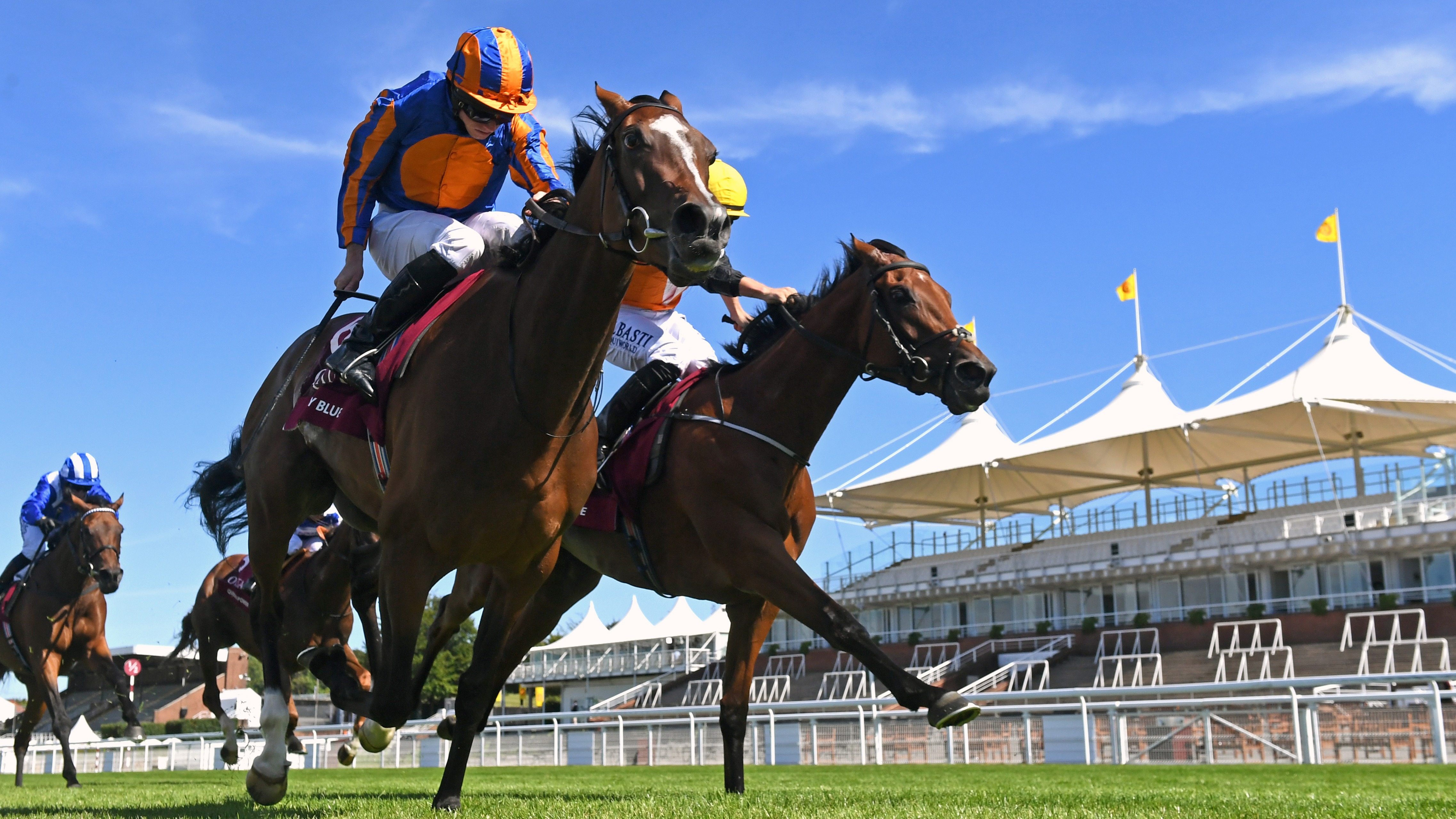 Big-race options under consideration for Fancy Blue | Racing