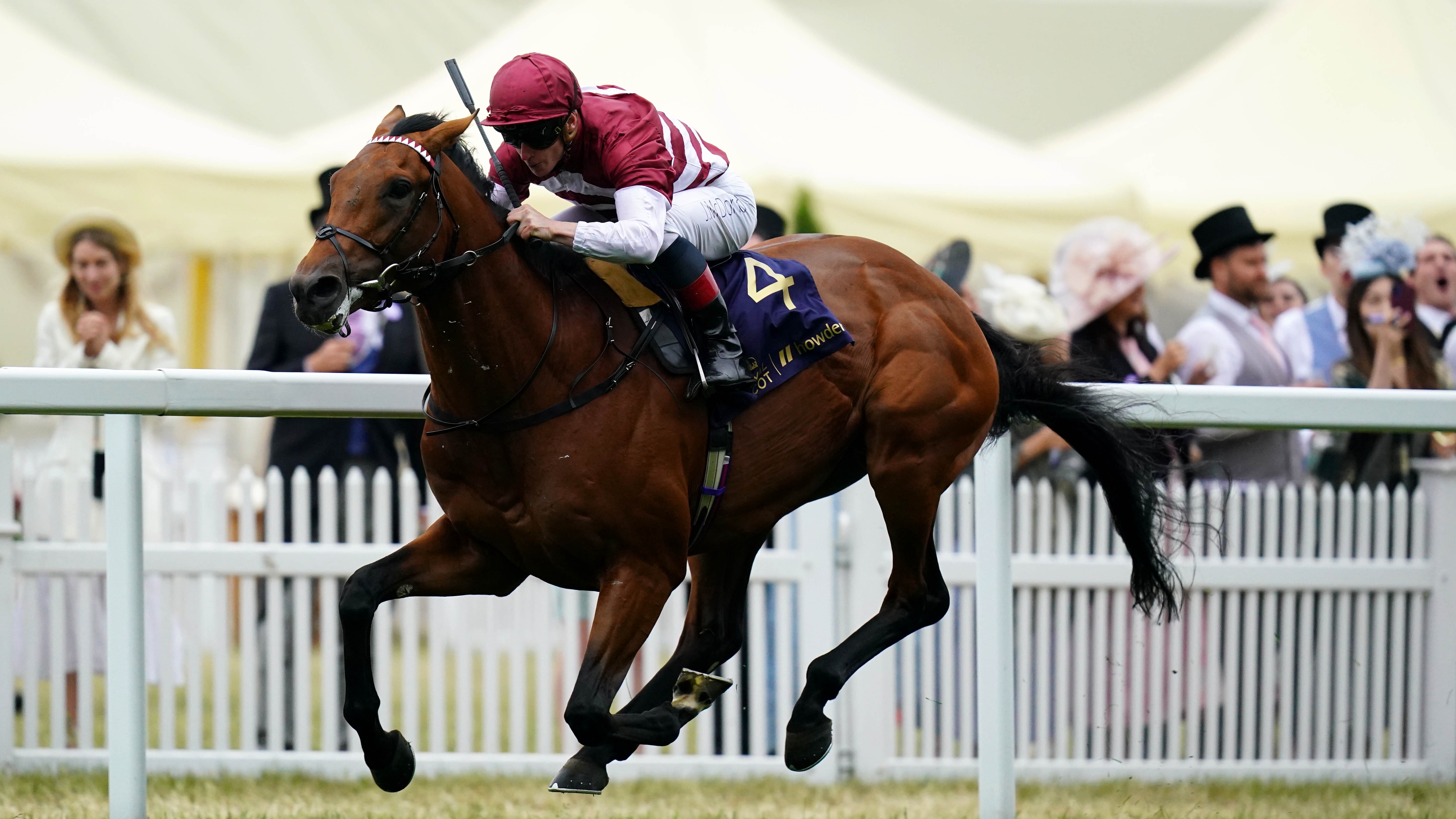 Missed the cut doesn't put a foot wrong in Golden Gates Stakes | Racing