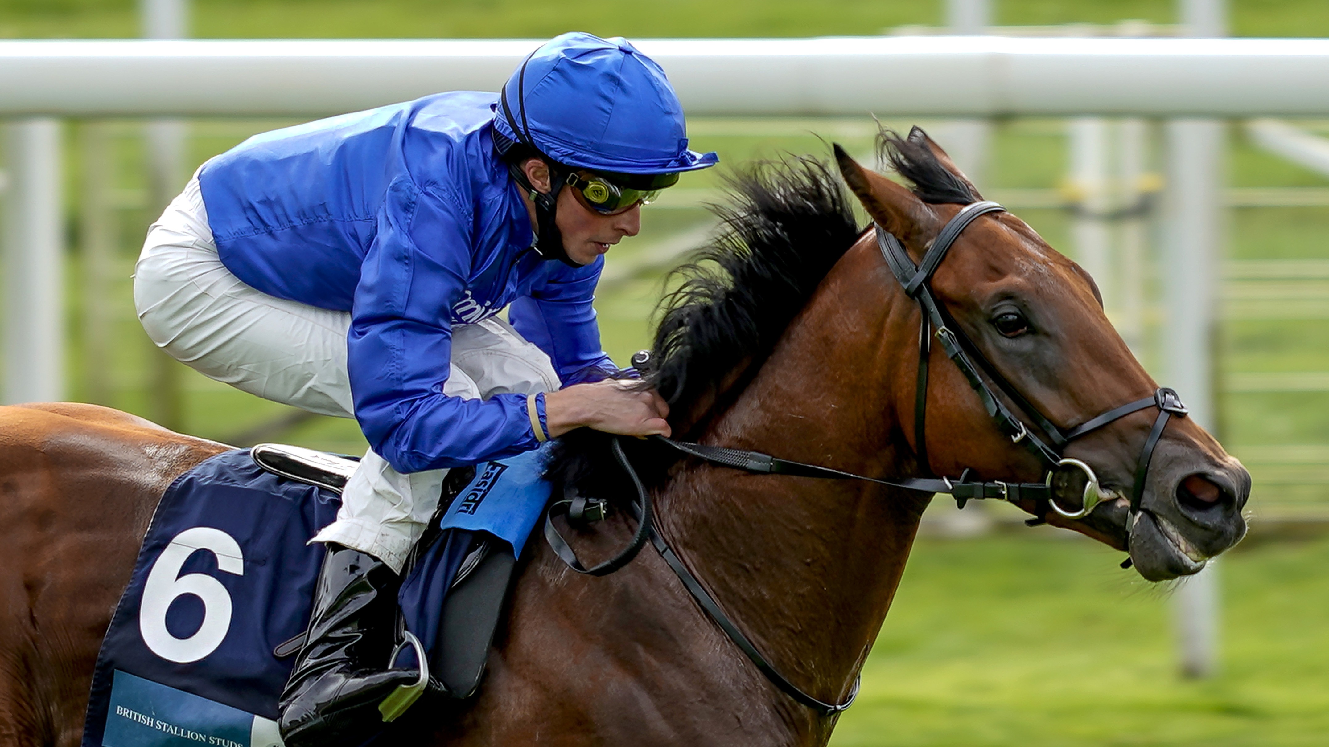 Naval Crown sails to victory in the British Stallion Studs EBF Convival ...