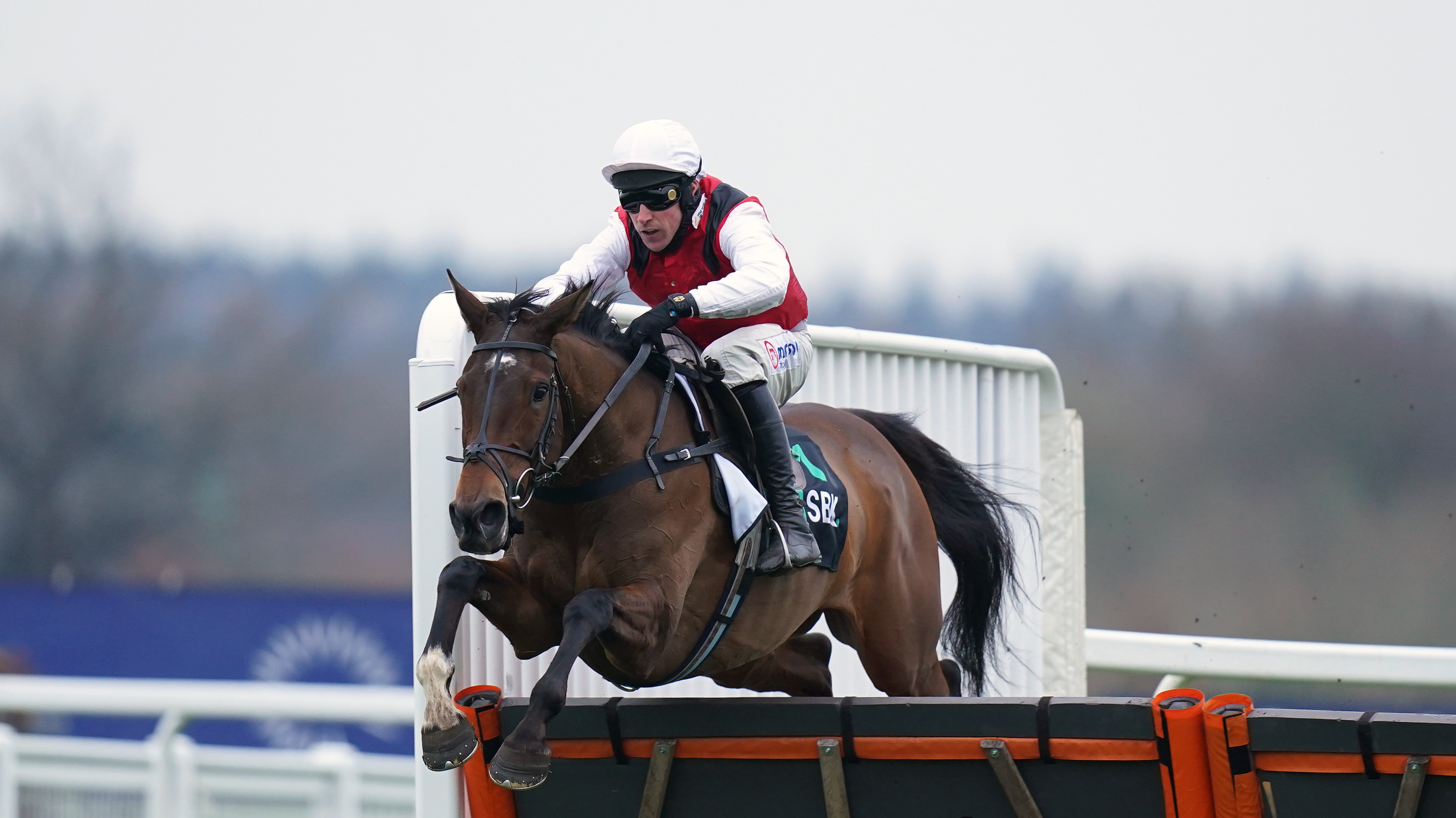 Molly Ollys Wishes wins the SBK Mares' Hurdle | Racing