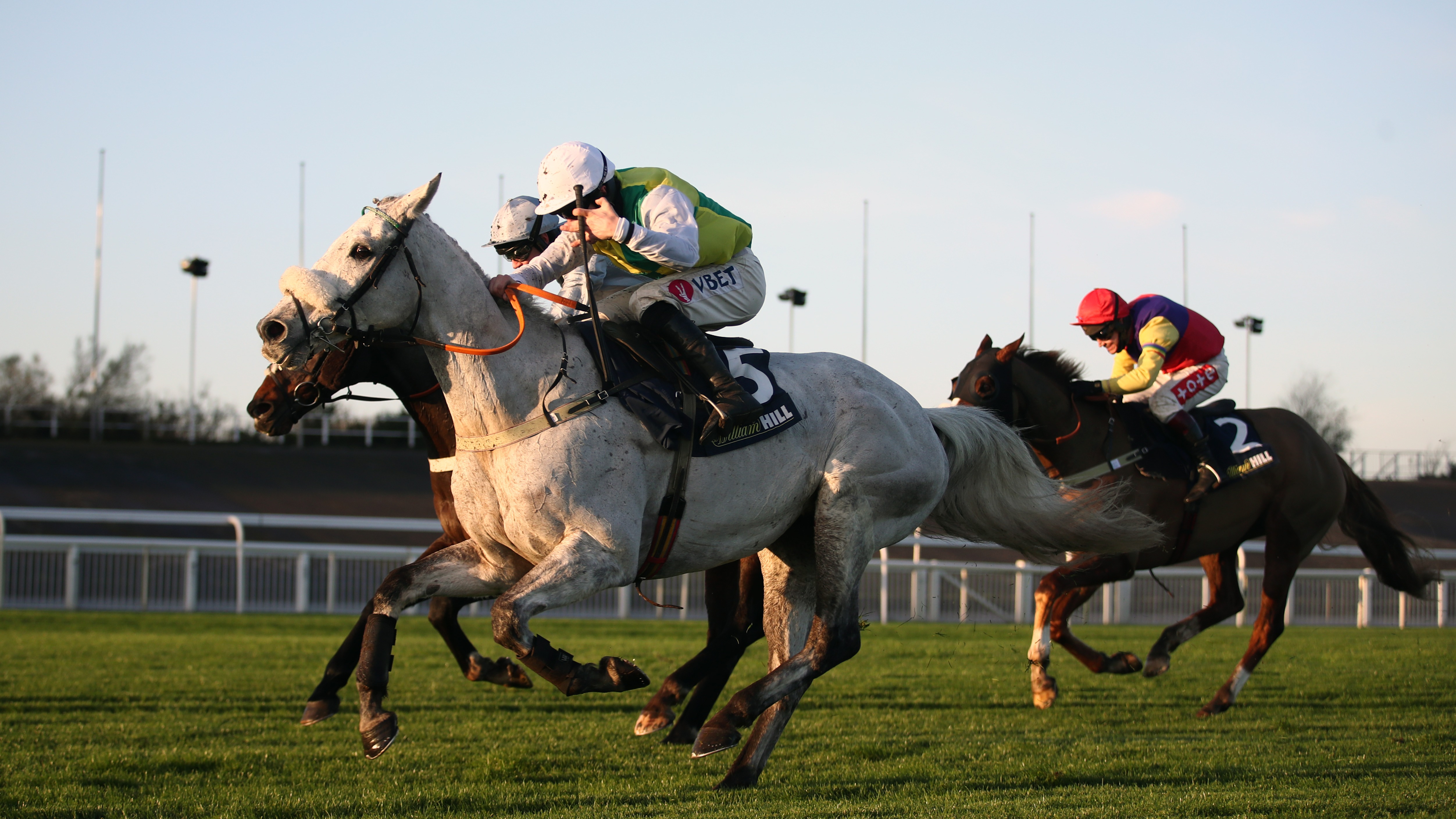 Lake View Lad battles to victory in the William Hill Many Clouds Chase ...
