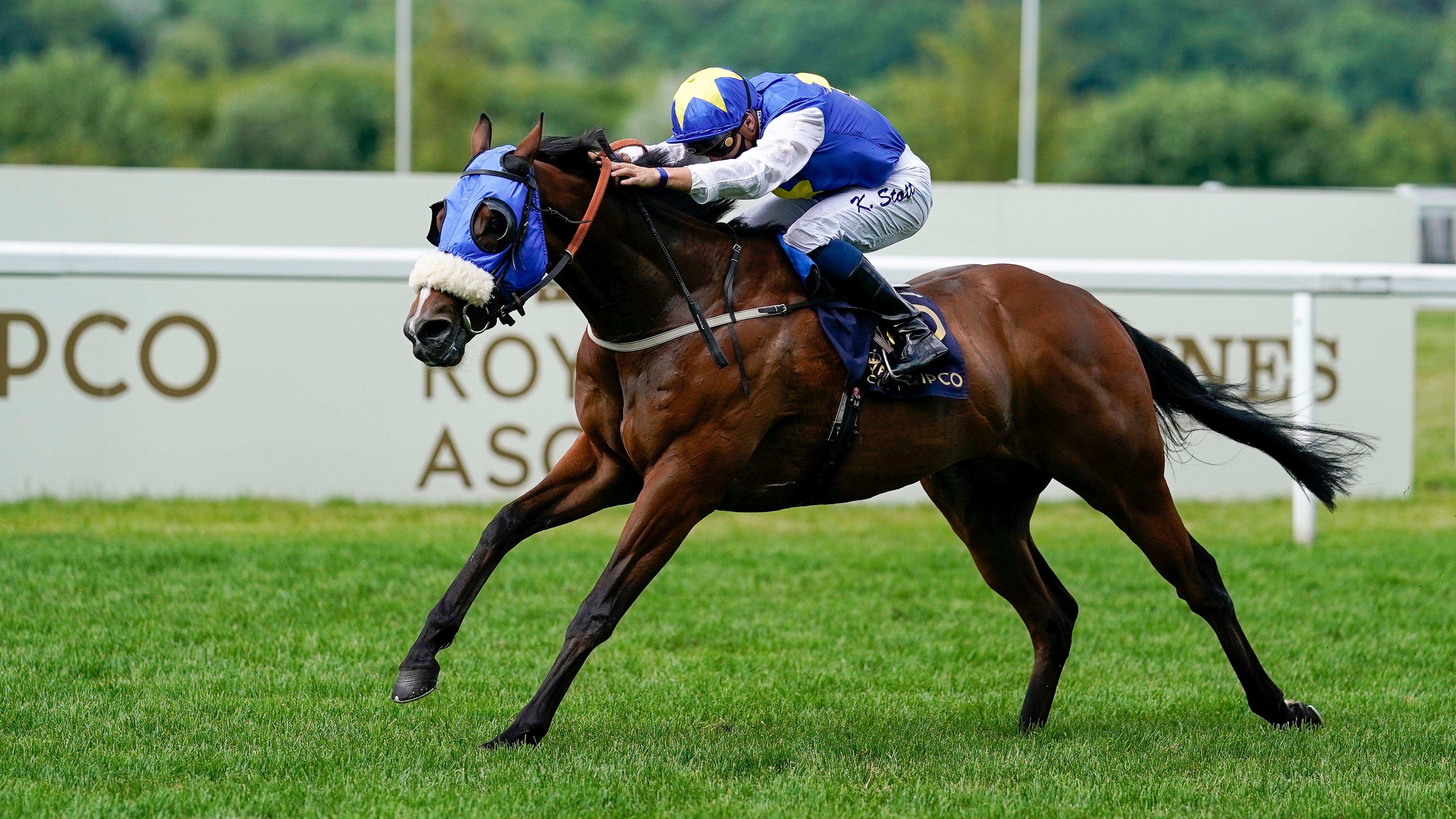 Hey Jonesy wins the Wokingham in tight photo finish | Racing