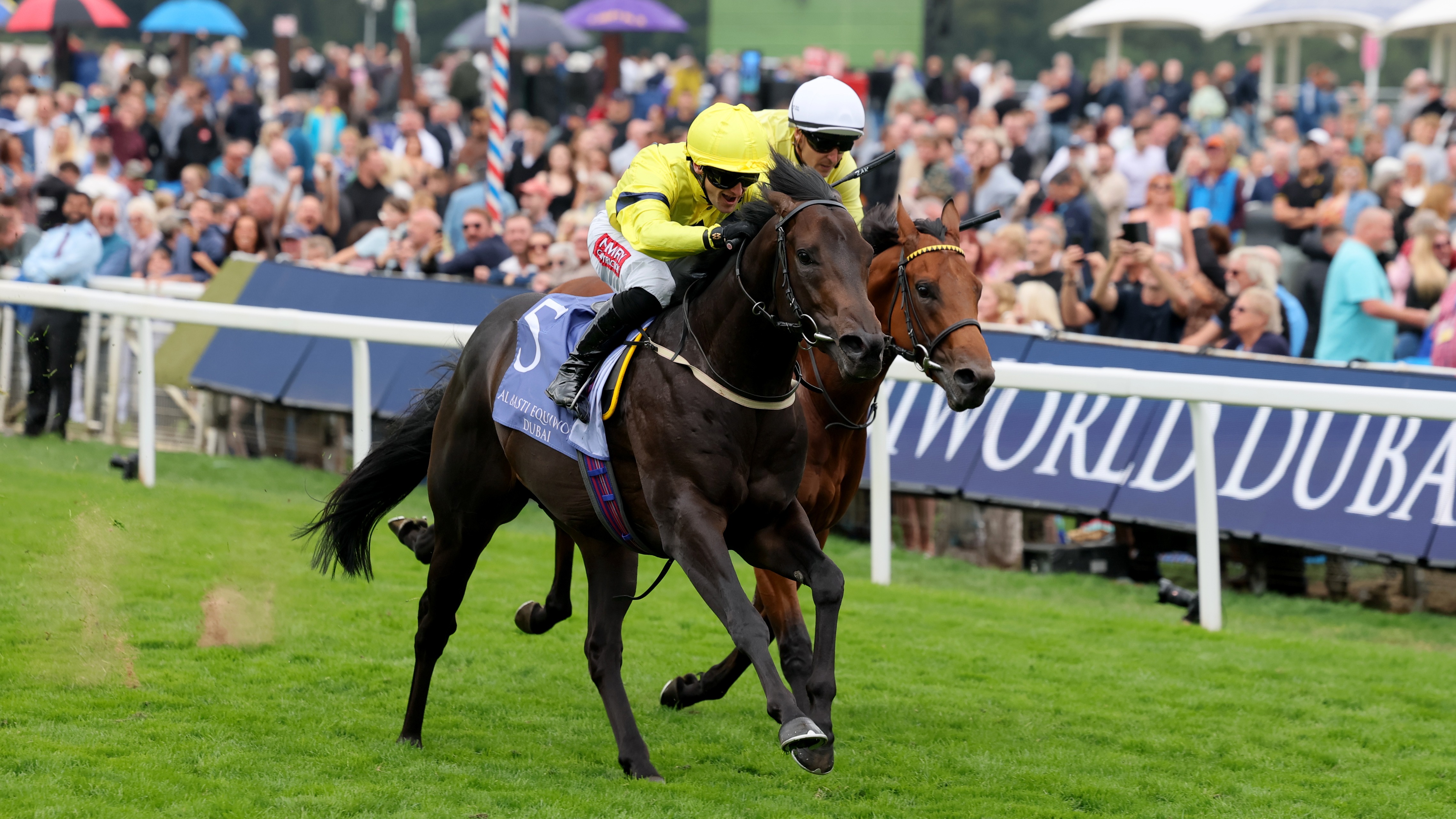 Lifeplan pounces in Gimcrack for Declan Carroll and Zak Wheatley | Racing