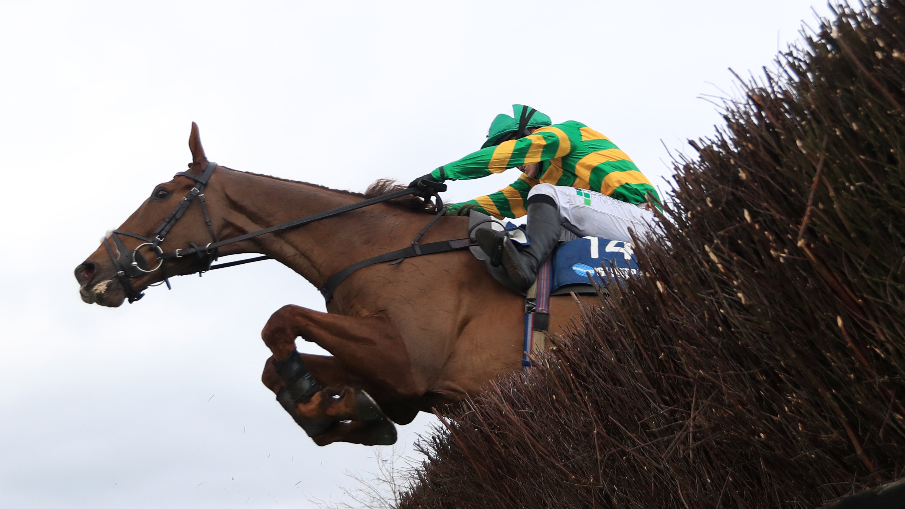 Time To Get Up gets up in time to win the Marston's 61 Deep Midlands ...