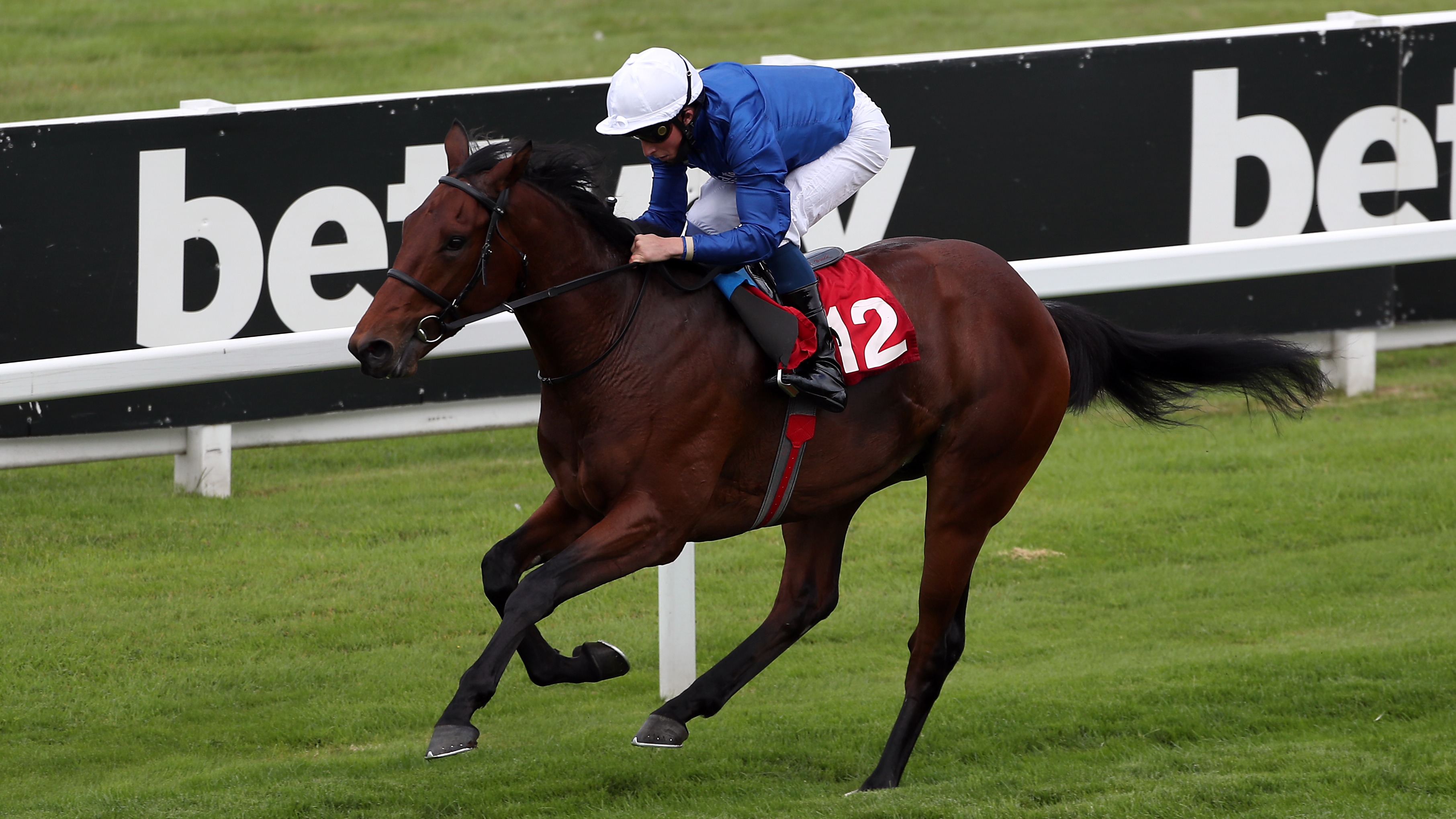 Impressive One Ruler dominates the Emirates Autumn Stakes | Racing