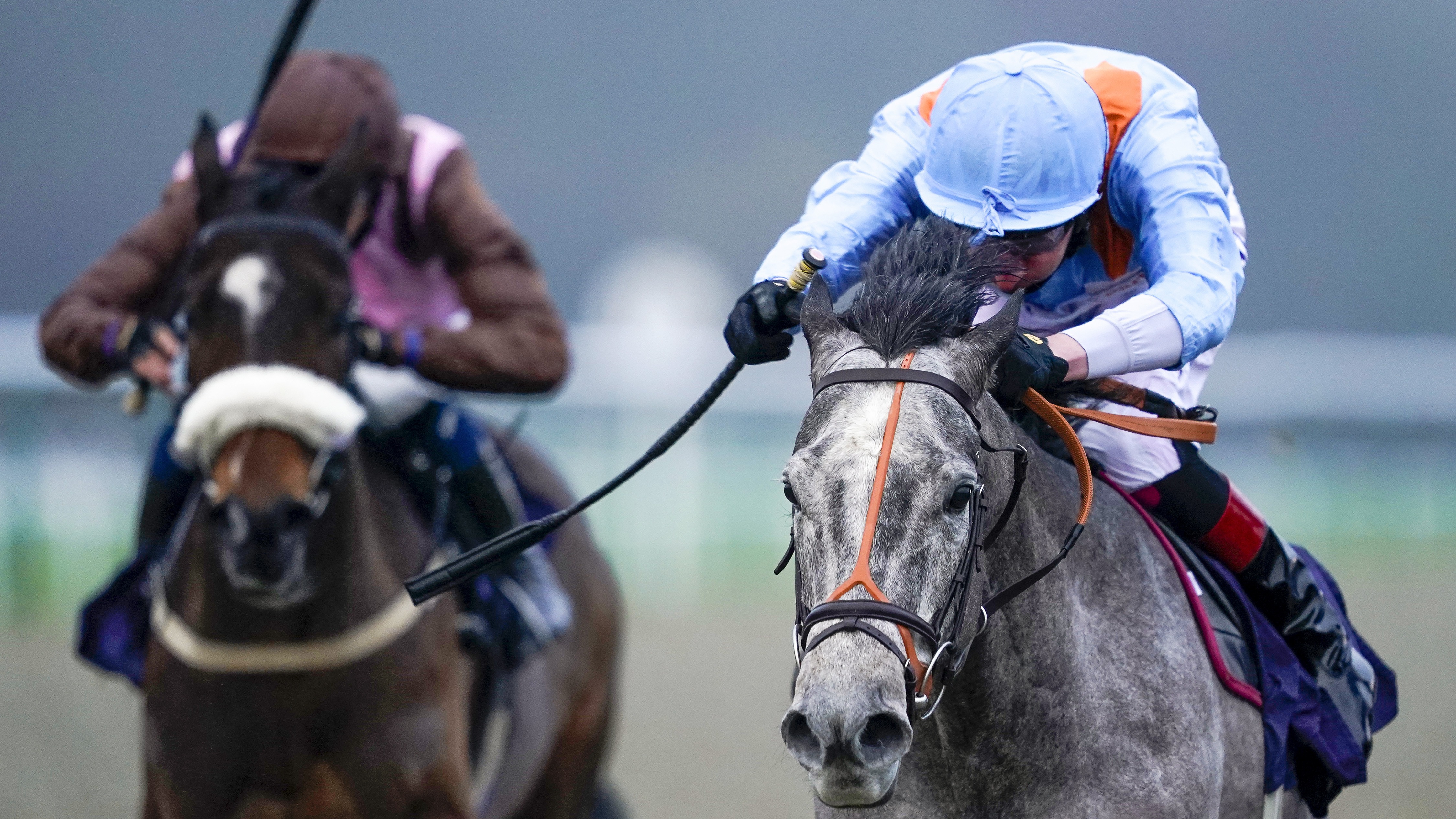 Lethal Lunch wins the Bombardier British-Hopped Amber Beer Handicap ...
