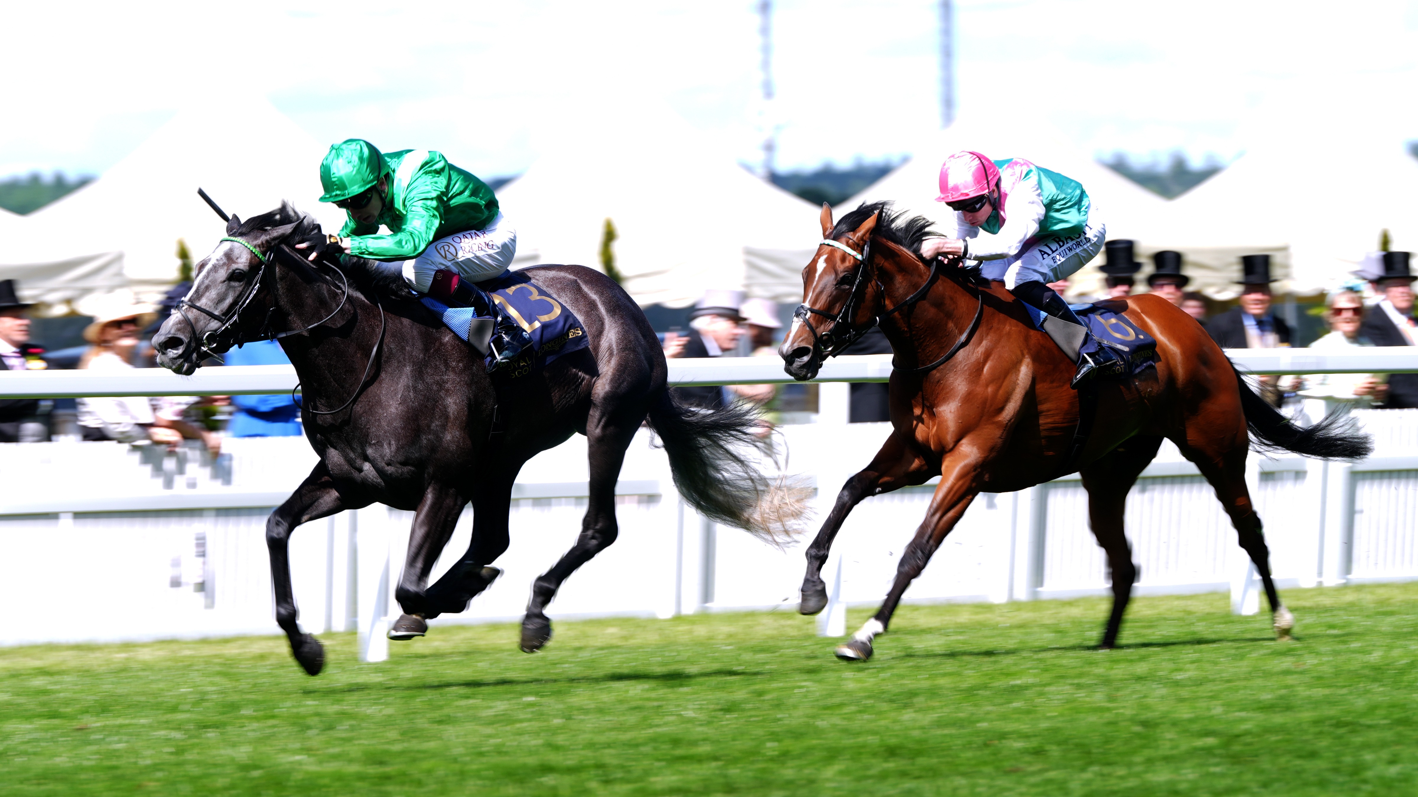 Running Lion roars to Duke Of Cambridge triumph | Racing