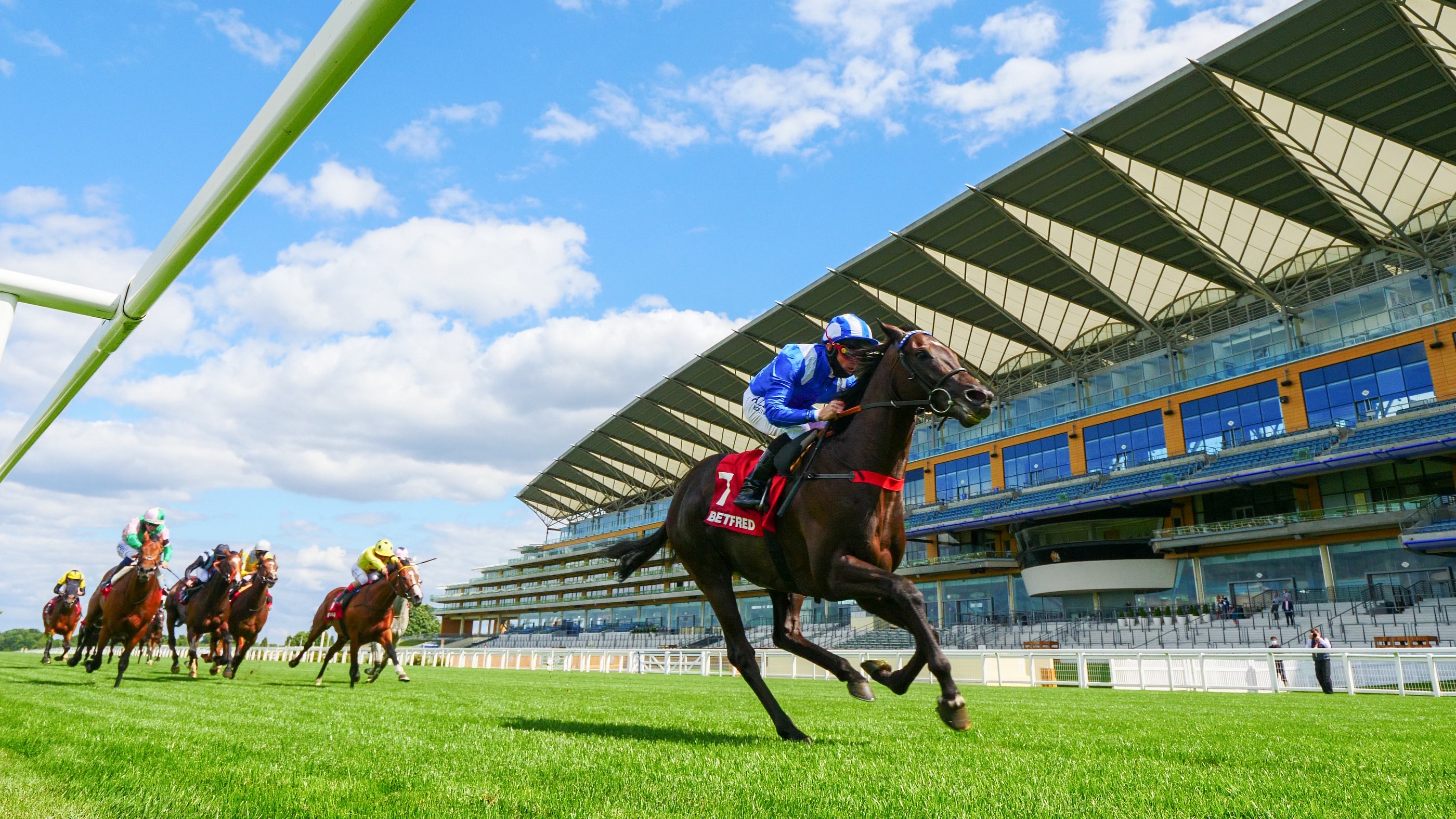 Mohaather in top shape for Sussex Stakes assignment | Racing