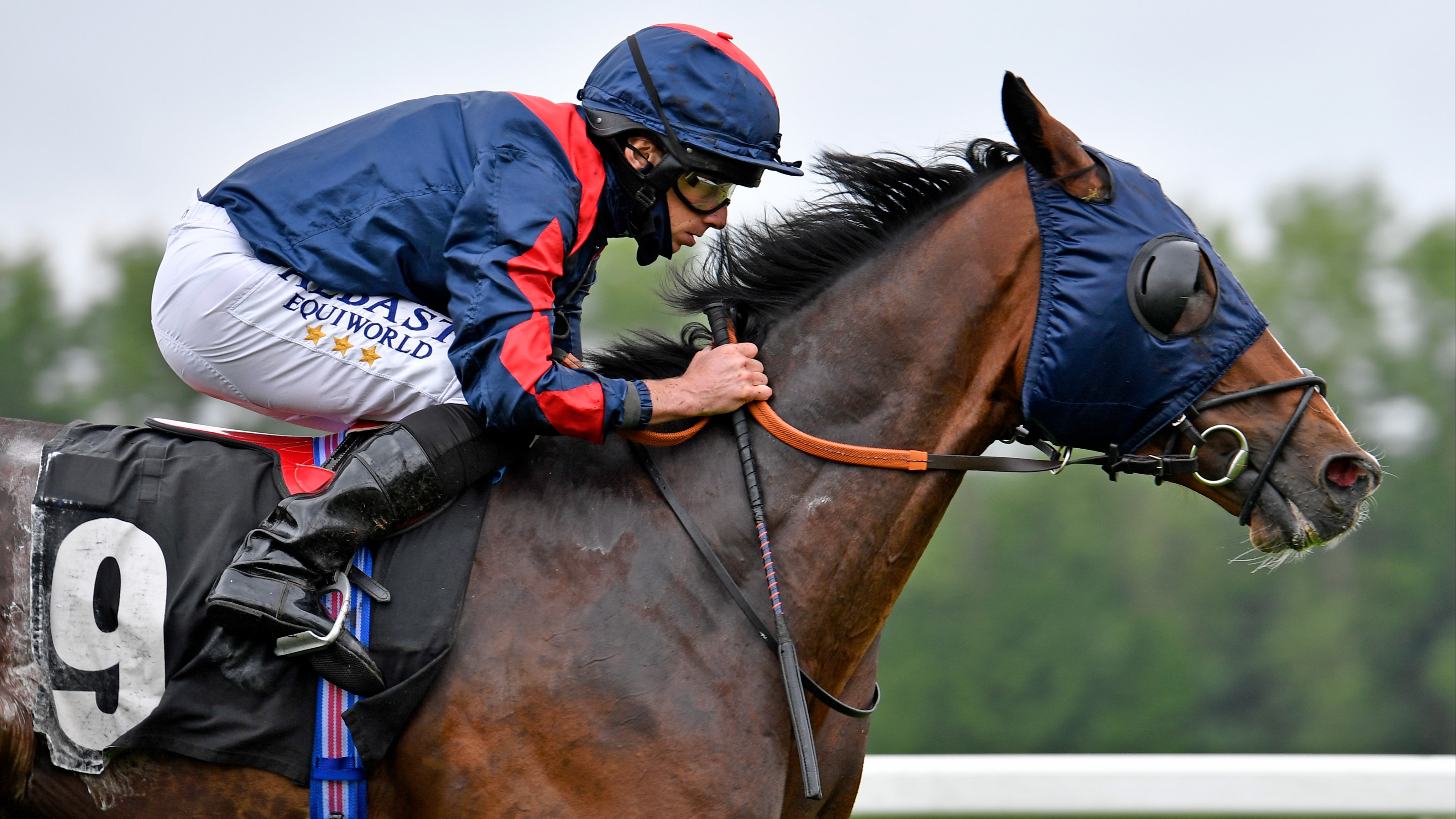Laafy cruises home to secure impressive victory at Newbury | Racing