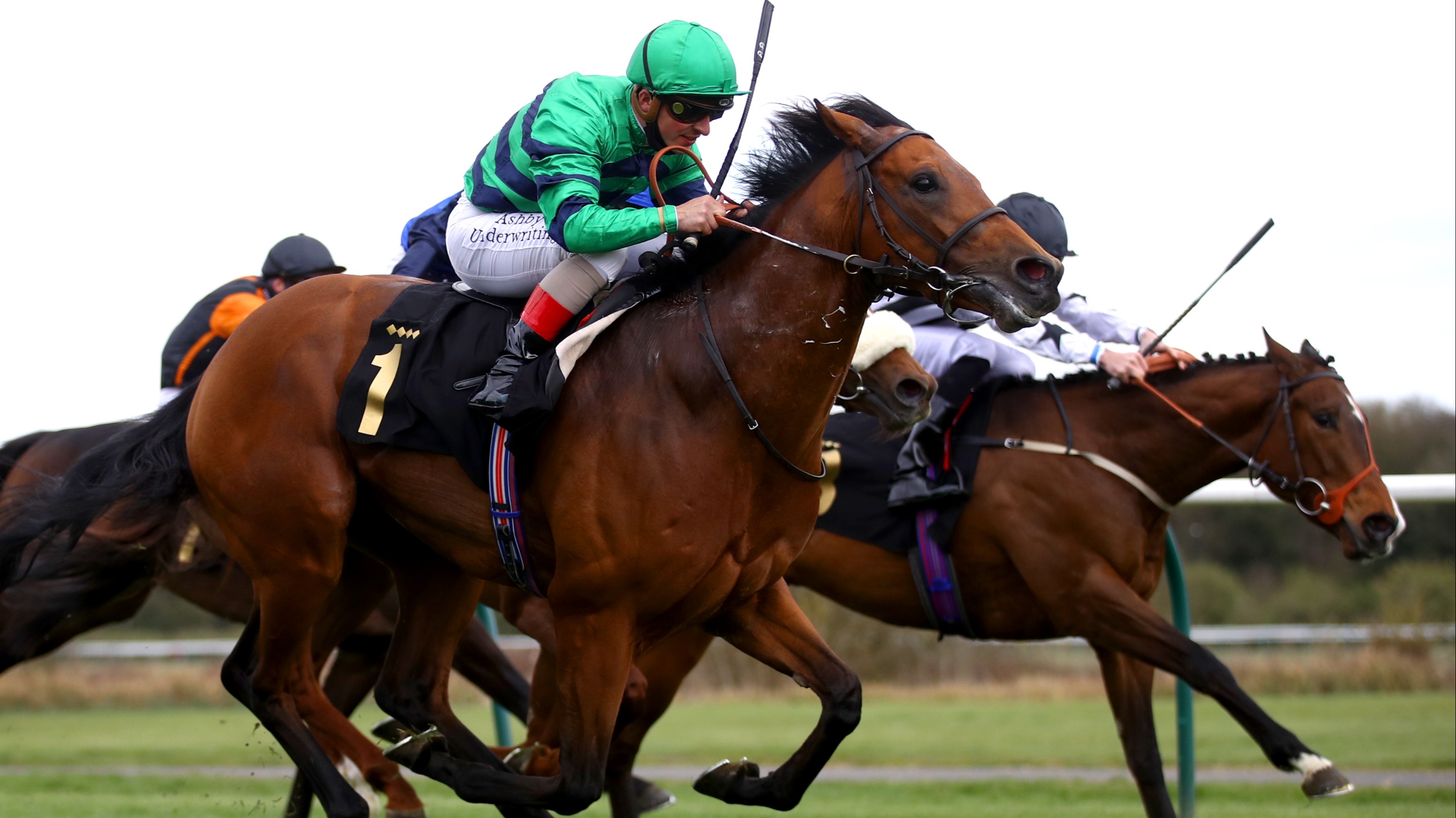 Atalis Bay holds off all challengers to win the Coral "Beaten By A ...