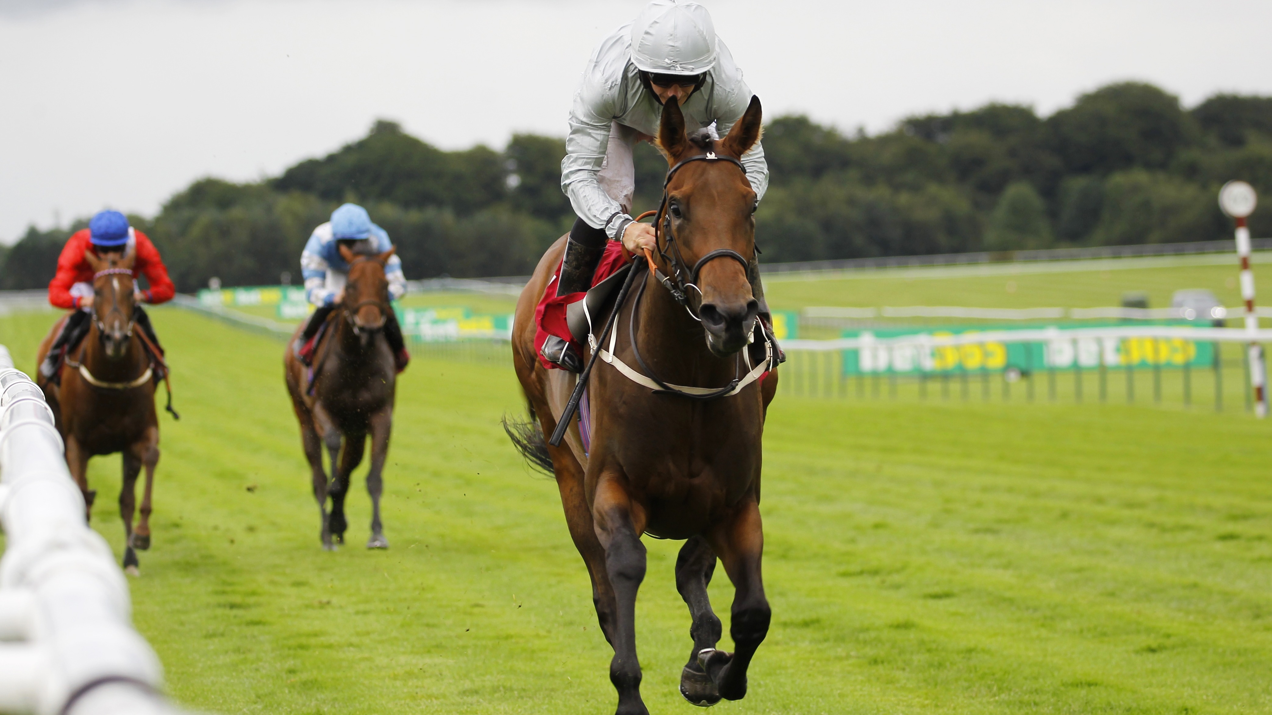 Dubai Fountain holds on to claim the Weatherbys ePassport Cheshire Oaks ...