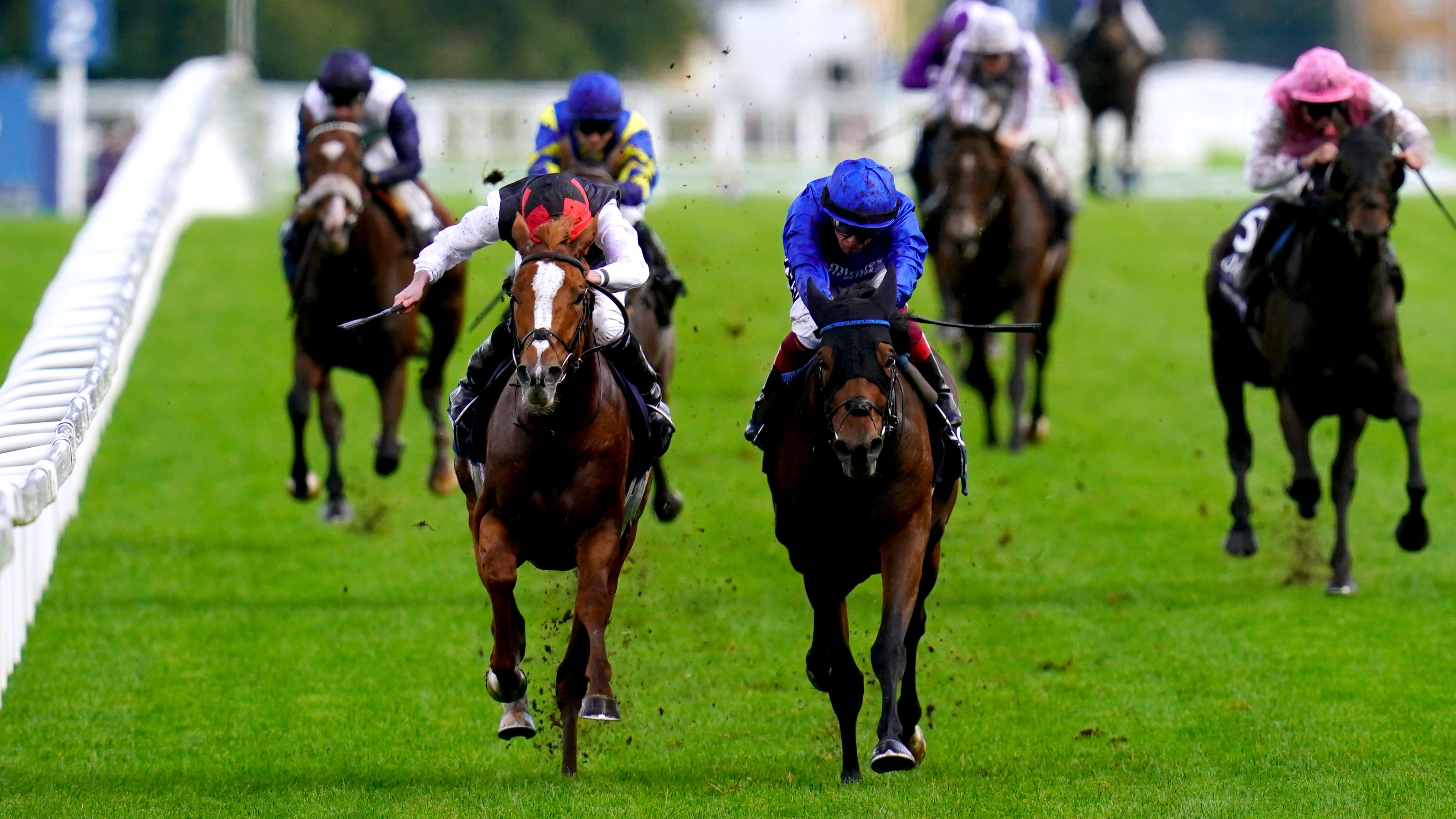 Trawlerman makes dreams come true on first ride of Dettori farewell ...