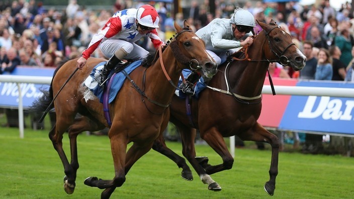 What's The Story takes the Clipper Logistics Handicap by a nose | Racing