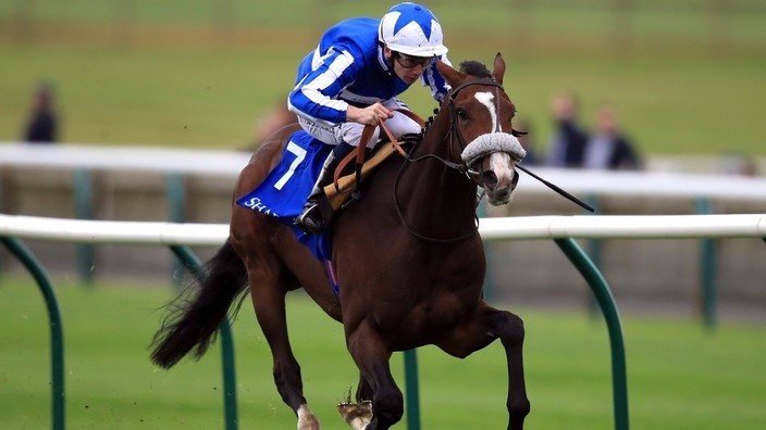 A dominant display from Beat The Bank in the Shadwell Joel Stakes | Racing