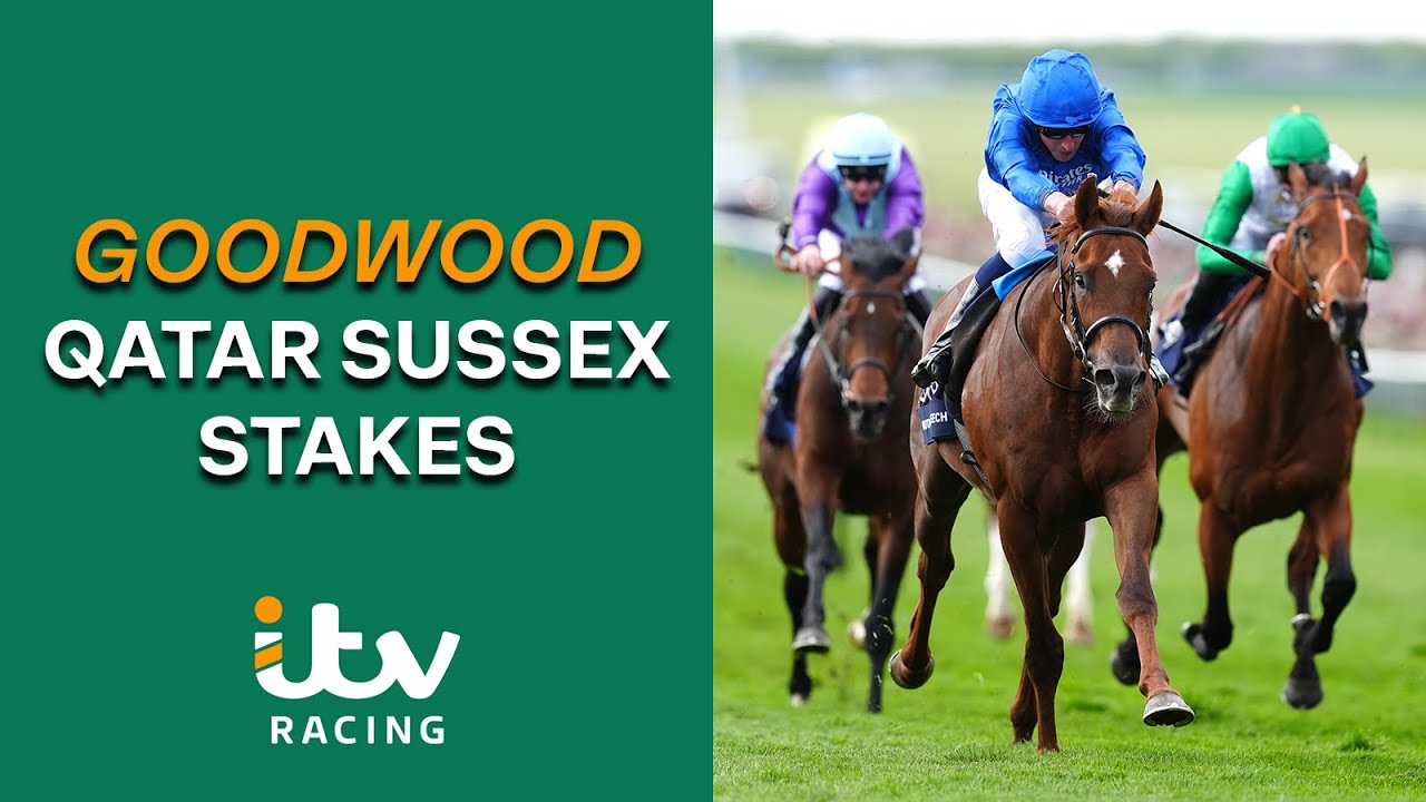 Notable Speech returns to brilliant best in Sussex Stakes | Racing