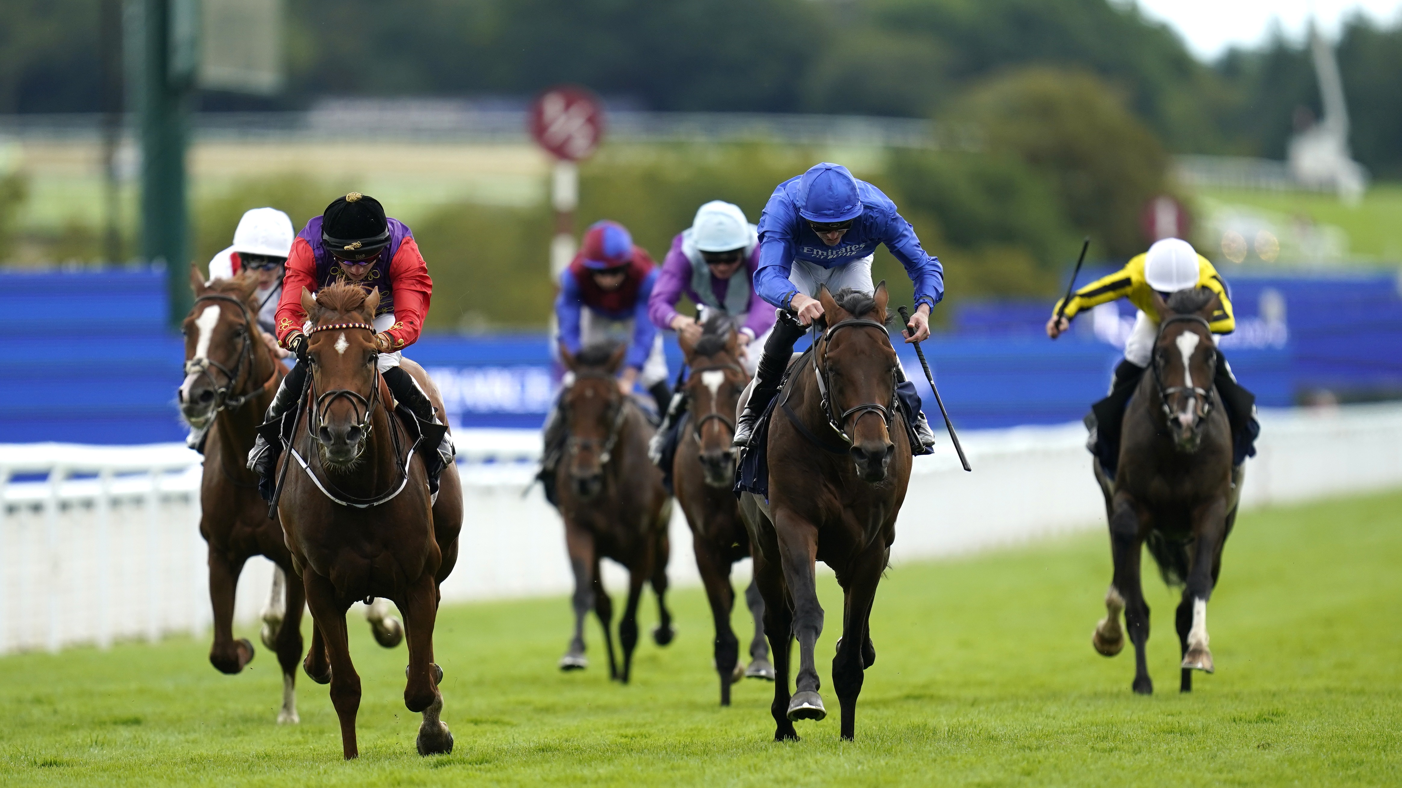 Royal hopes for St Leger rise as Desert Hero takes John Pearce Racing ...