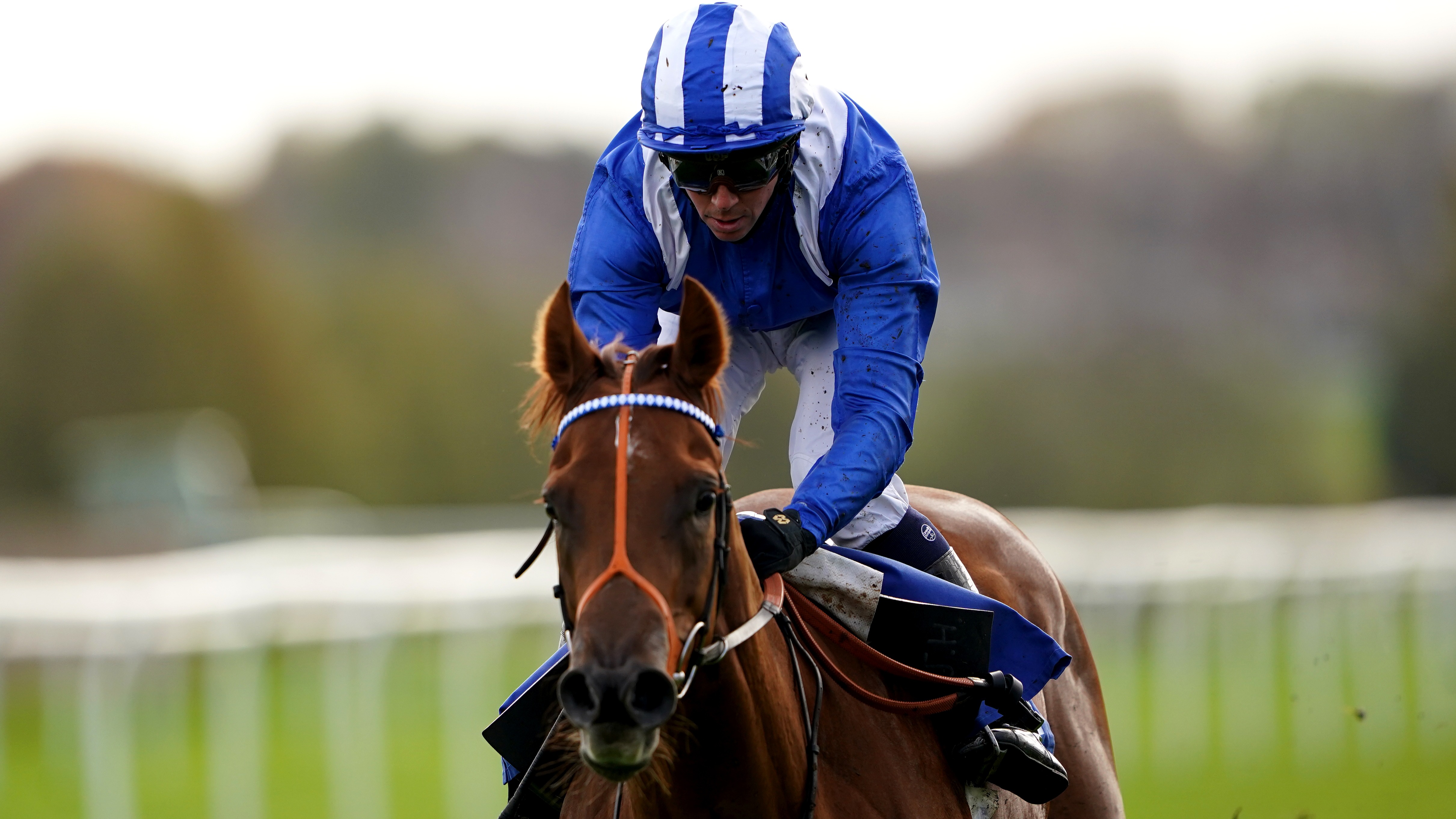 Jim Crowley completes Champions Day Hat-trick in the Balmoral | Racing