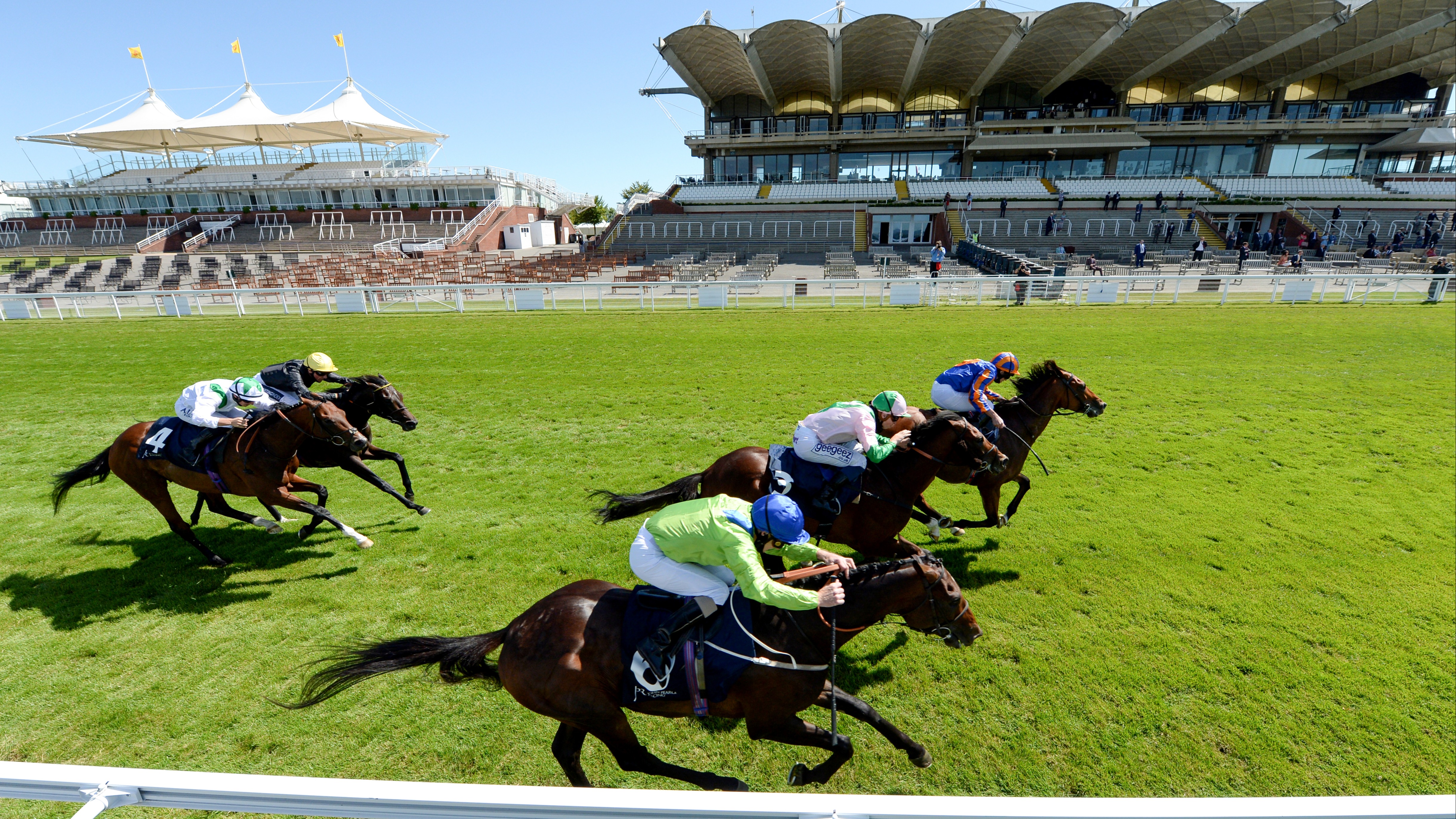 Mogul putsy in gutsy performance to win the John Pearce Racing Gordon ...