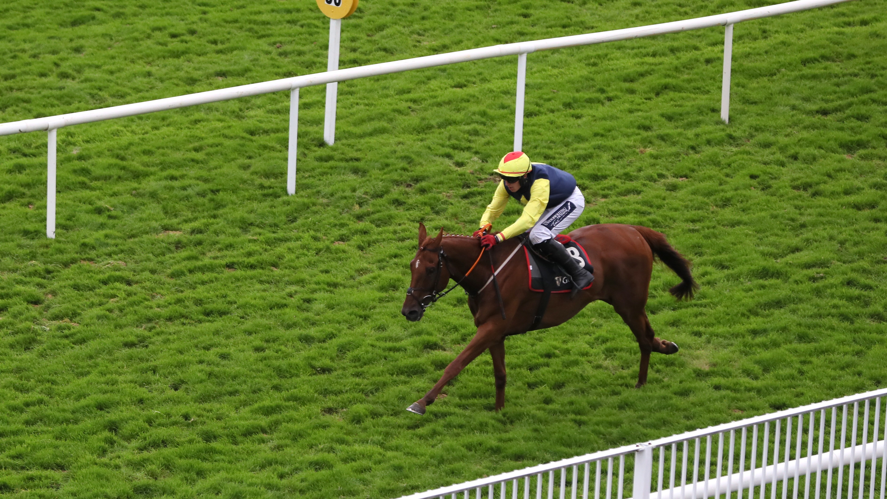 The Storyteller takes a thrilling Ladbrokes Champion Chase | Racing