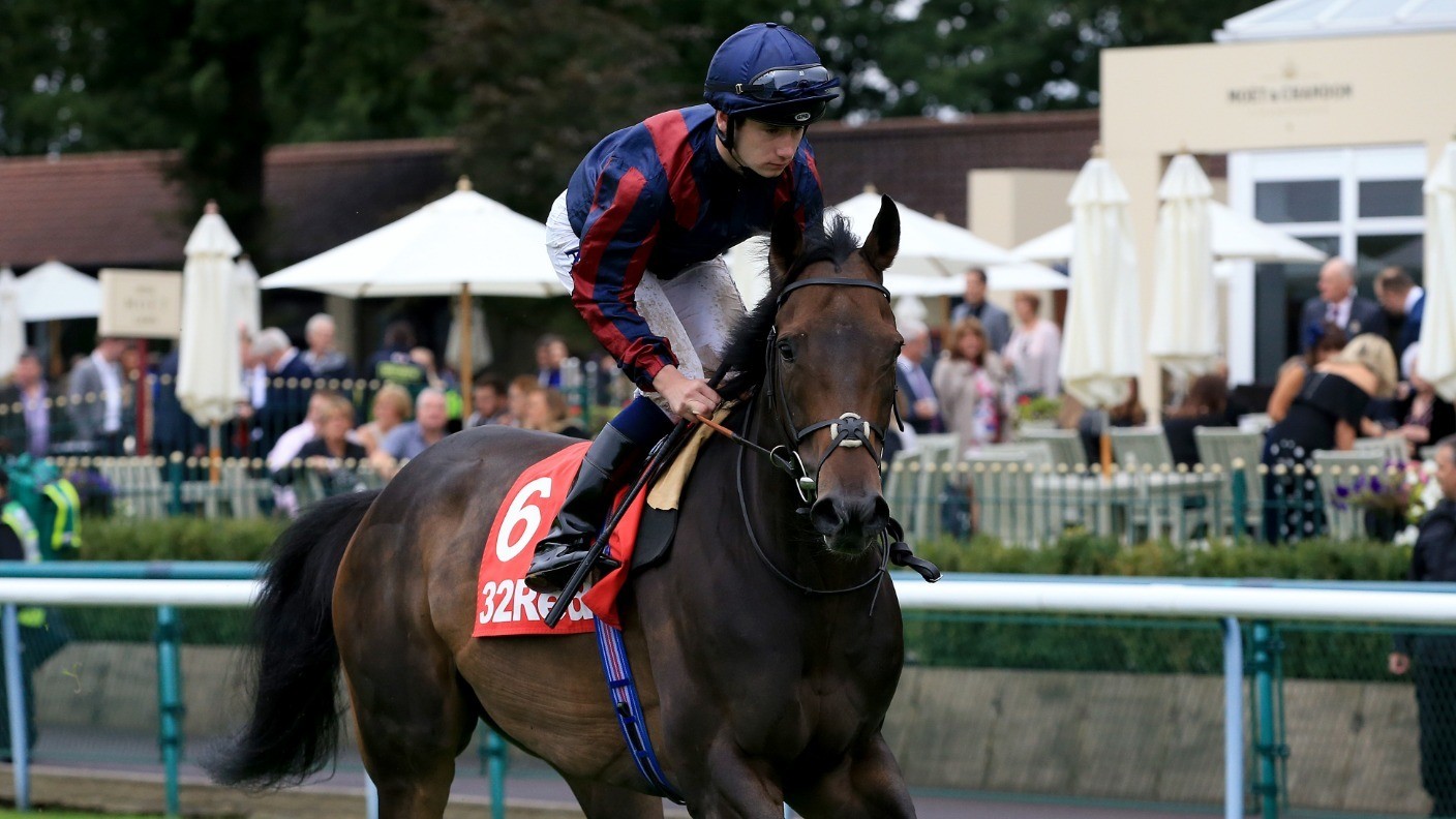 The Tin Man tops 14 seeking sprint honours on Champions Day | Racing