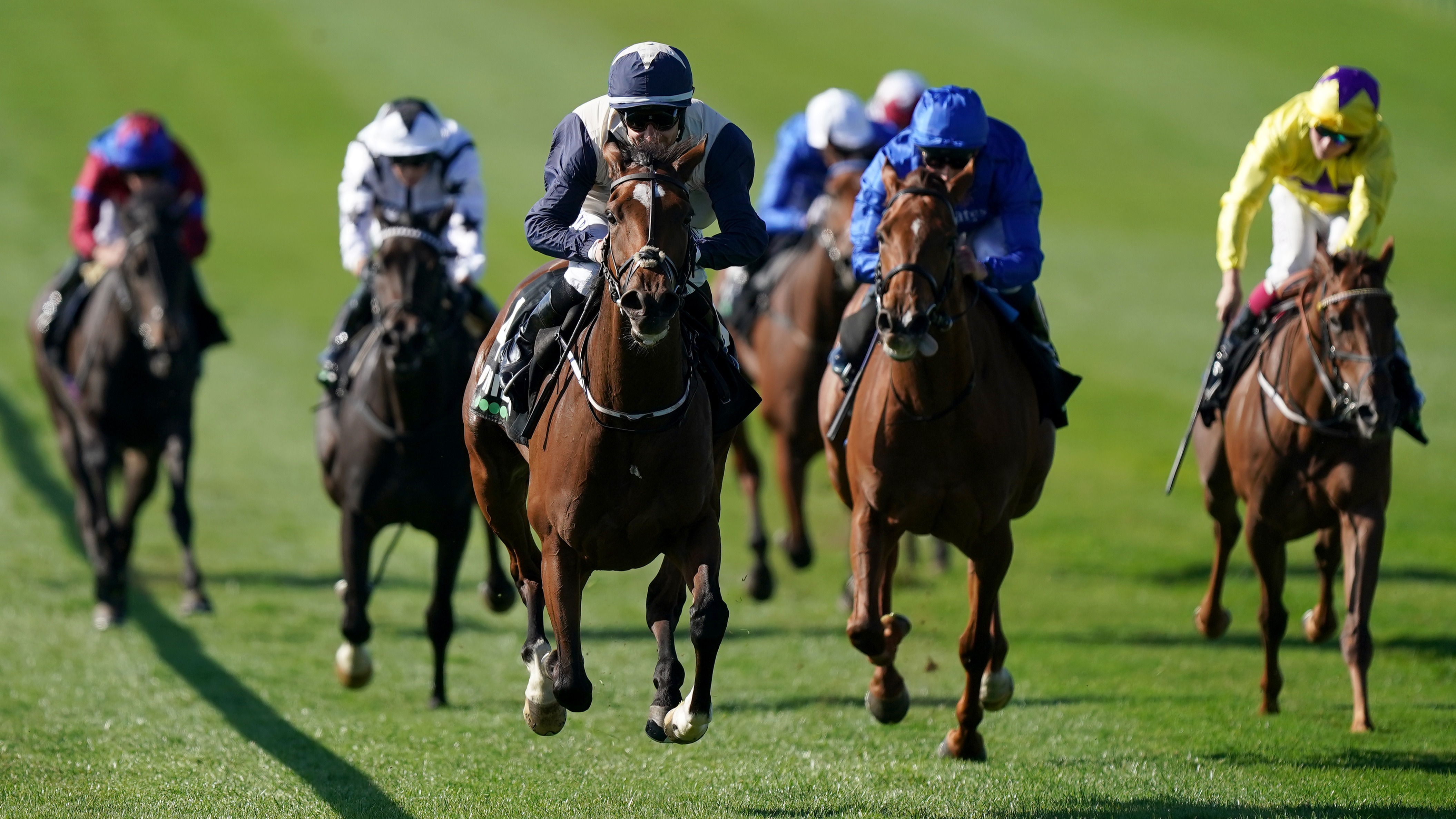 Forbearance surges to Princess Royal Stakes victory | Racing
