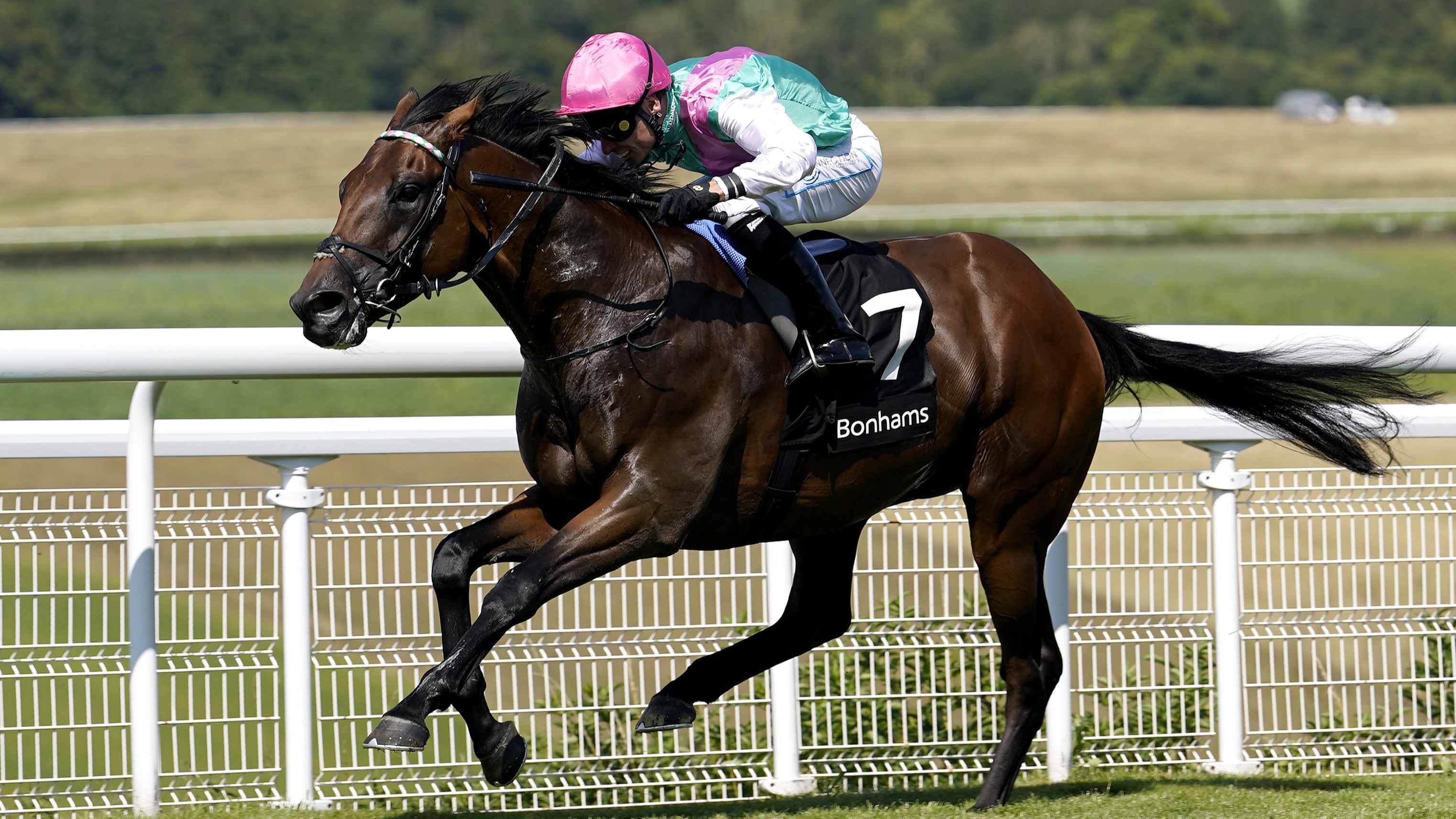 Lead Artist shines under Shoemark at Goodwood | Racing