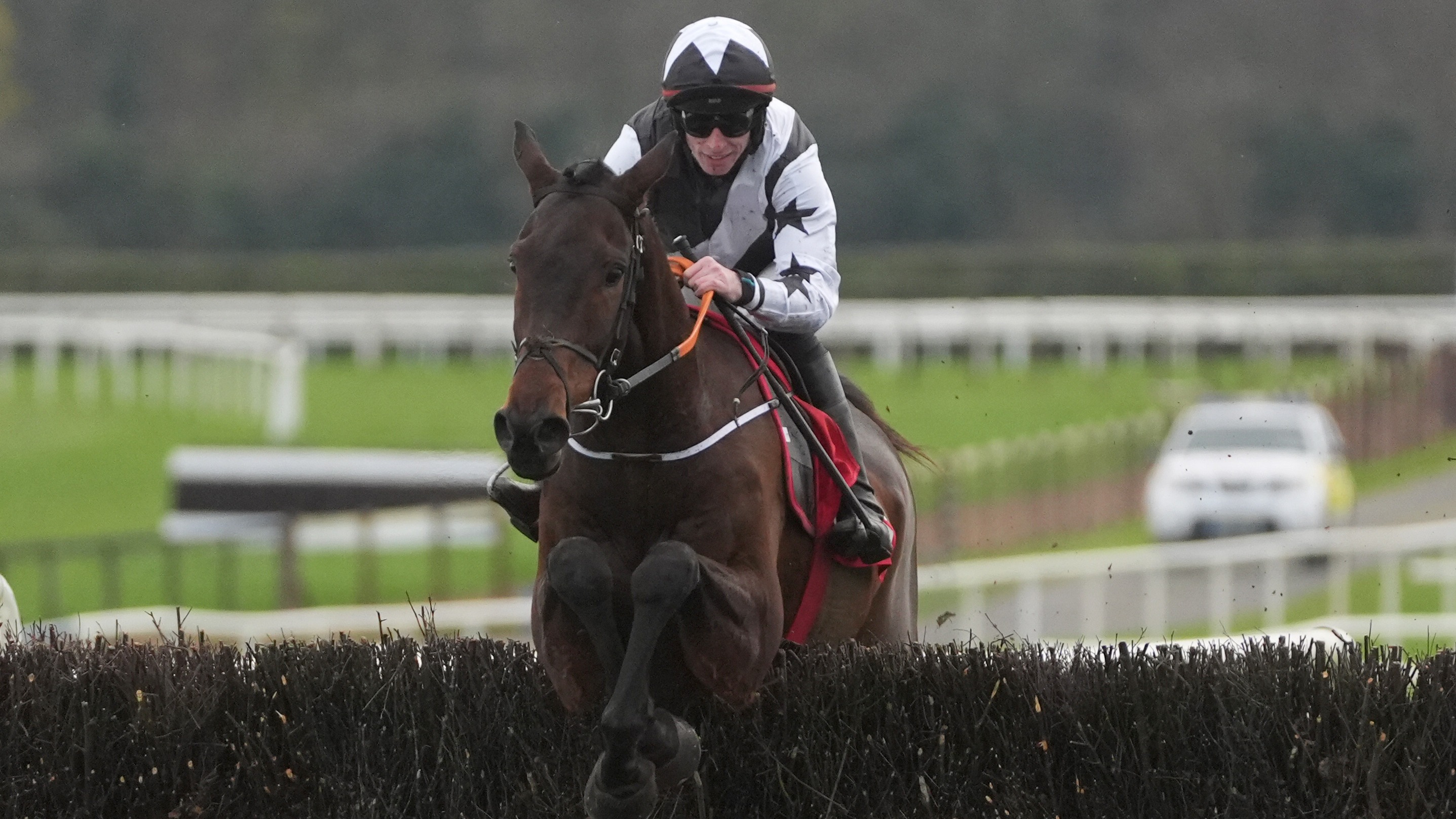 Romeo Coolio facing just two rivals in Irish Arkle | Racing