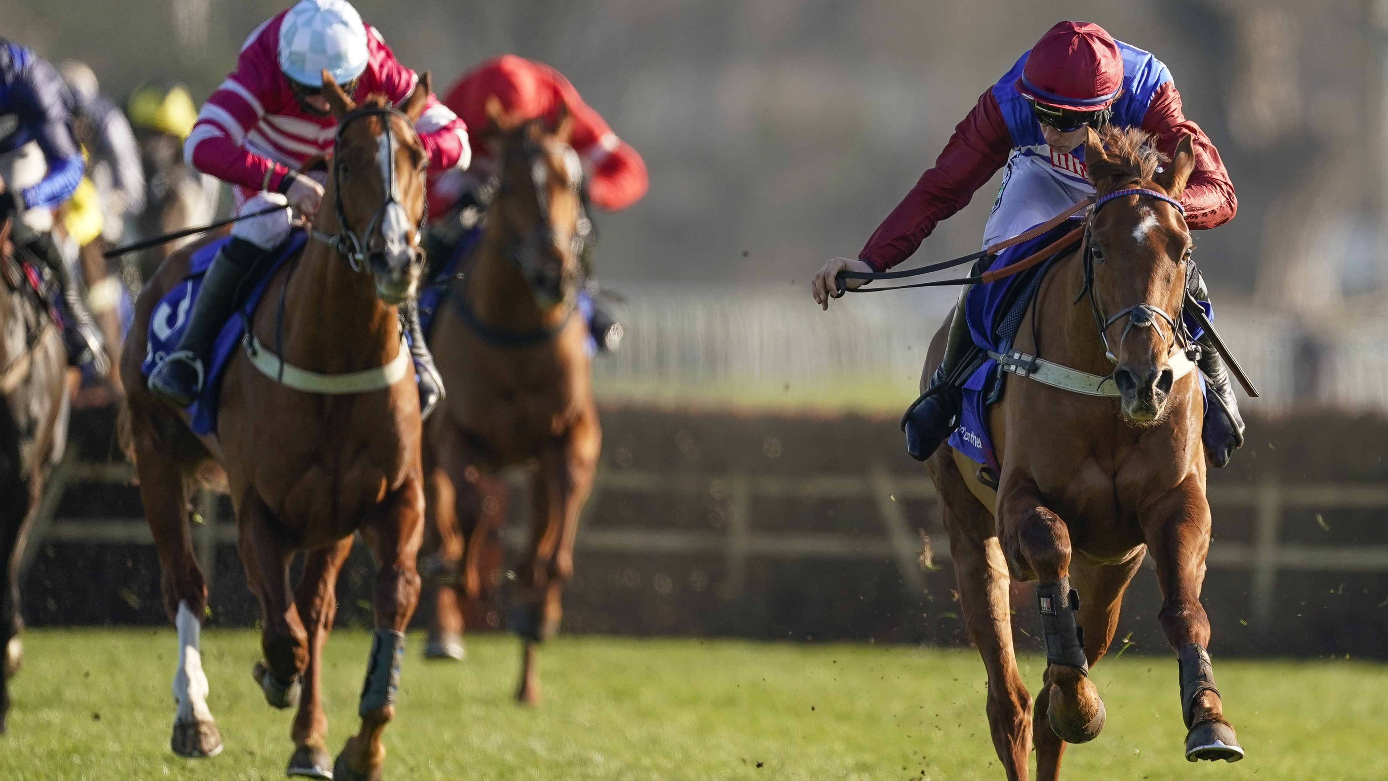 Tritonic impresses in powerful Adonis victory | Racing