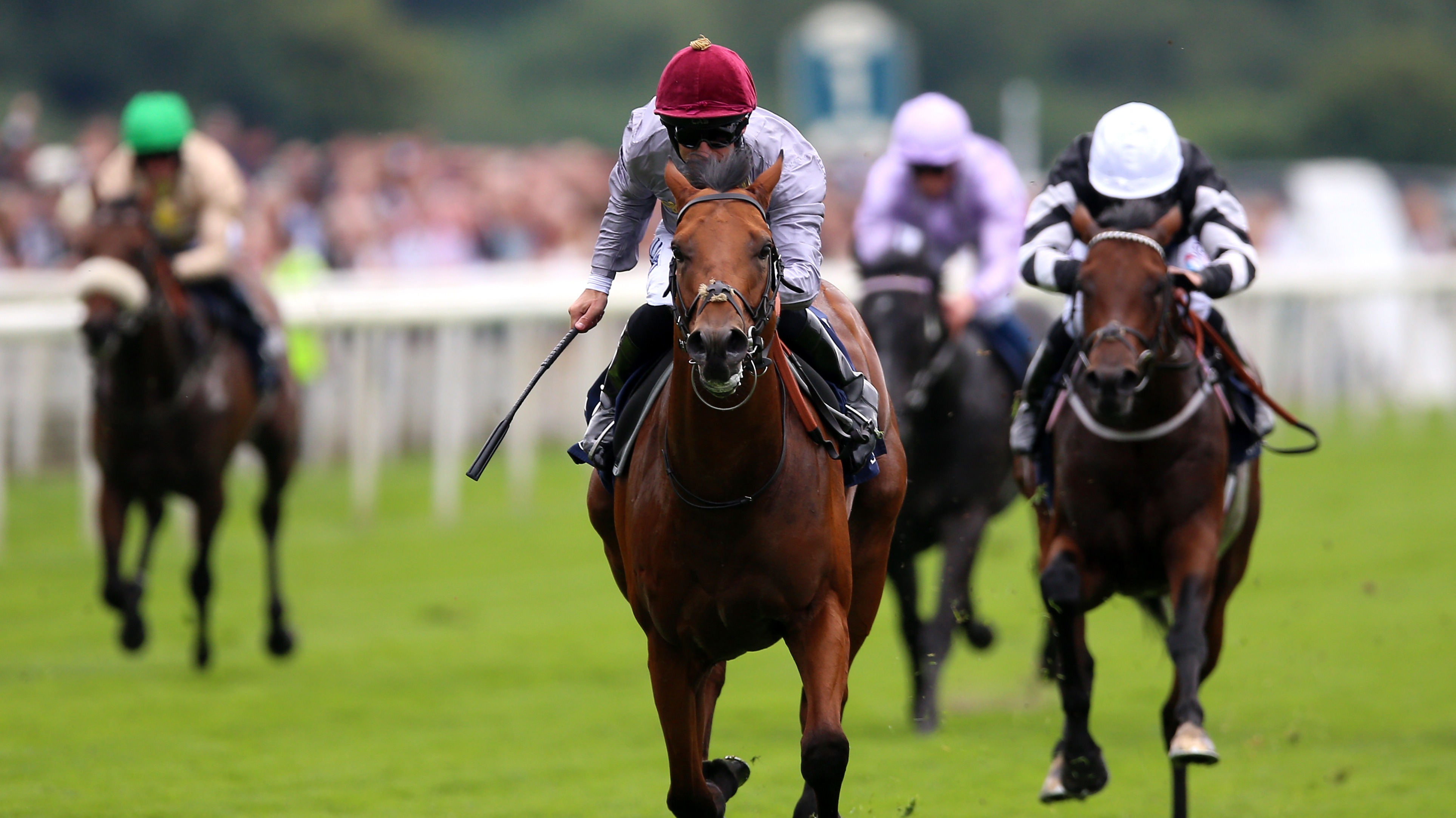 Lusail shows class in Basti Equiworld Dubai Gimcrack Stakes success ...