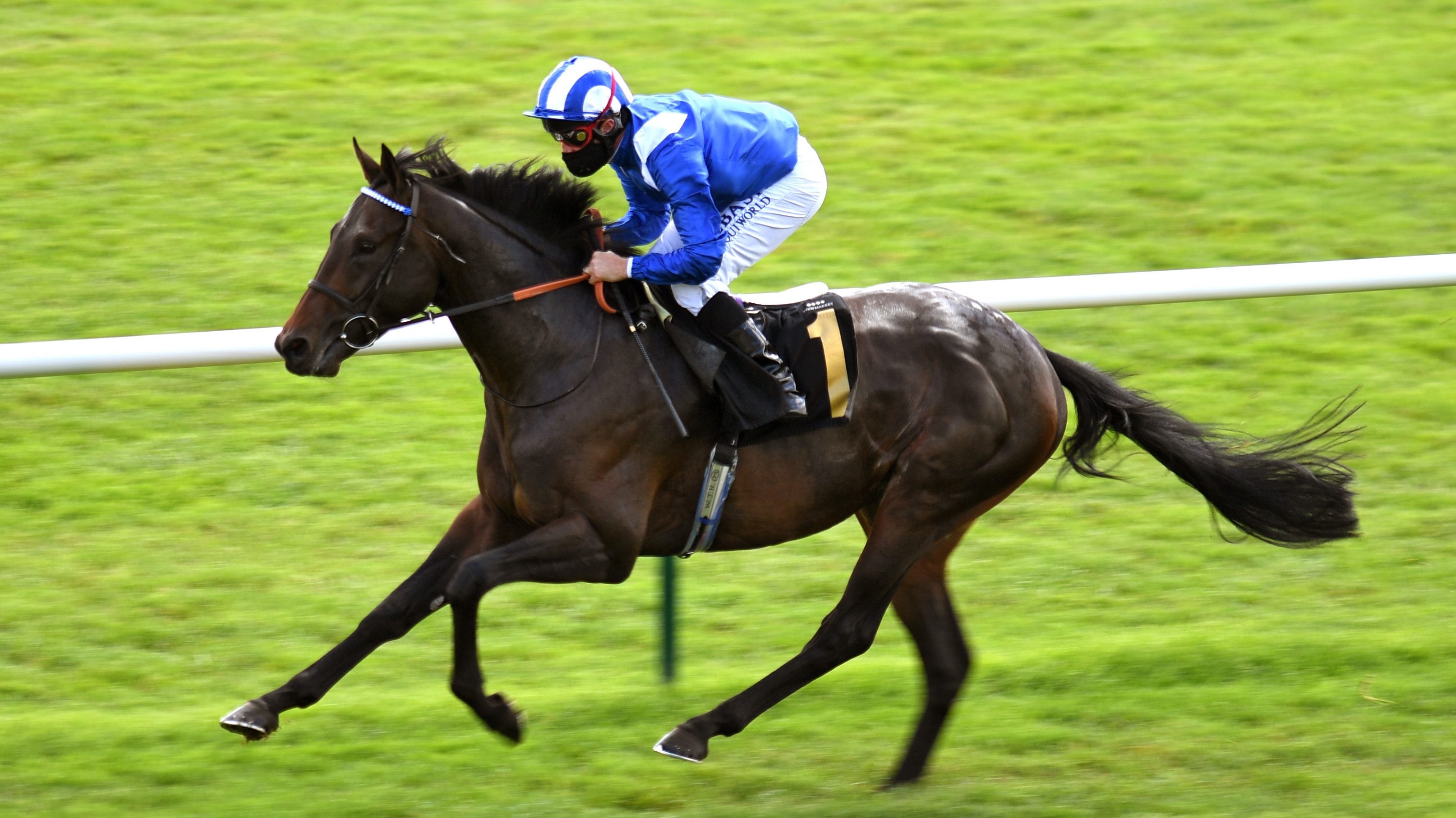 Al Aasy faces 'big step up' in Bahrain Trophy at Newmarket | Racing